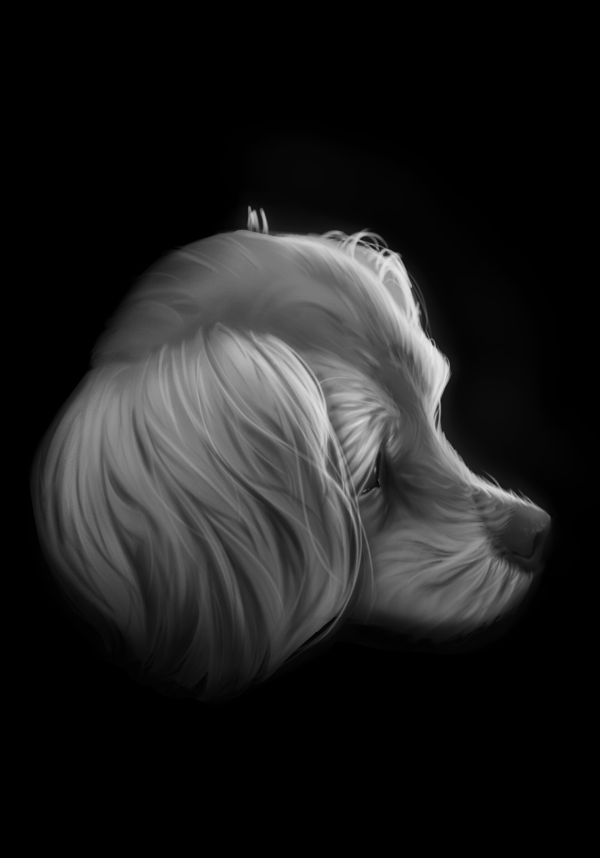 ArtStation - Commission Examples