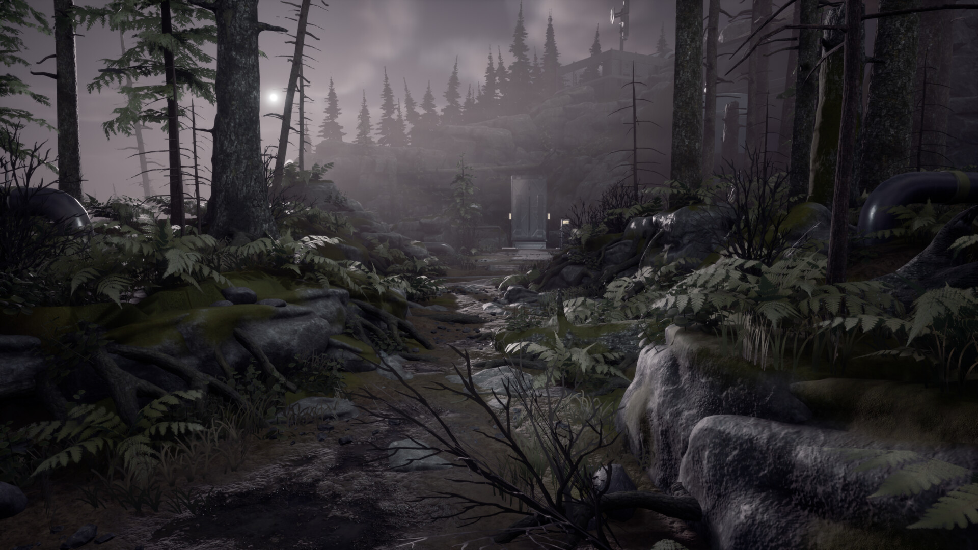 ArtStation - Biome project: environment and assets