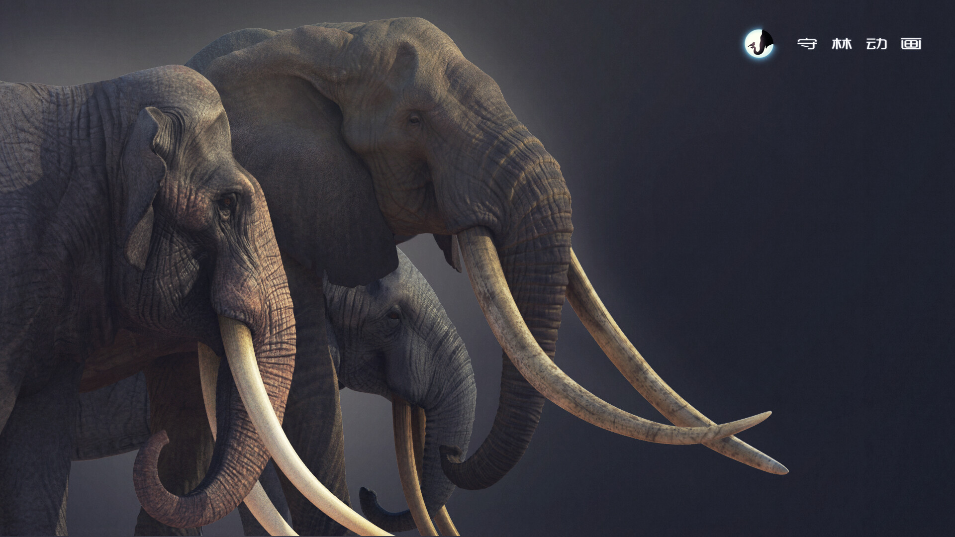 ArtStation - Three kinds of elephants
