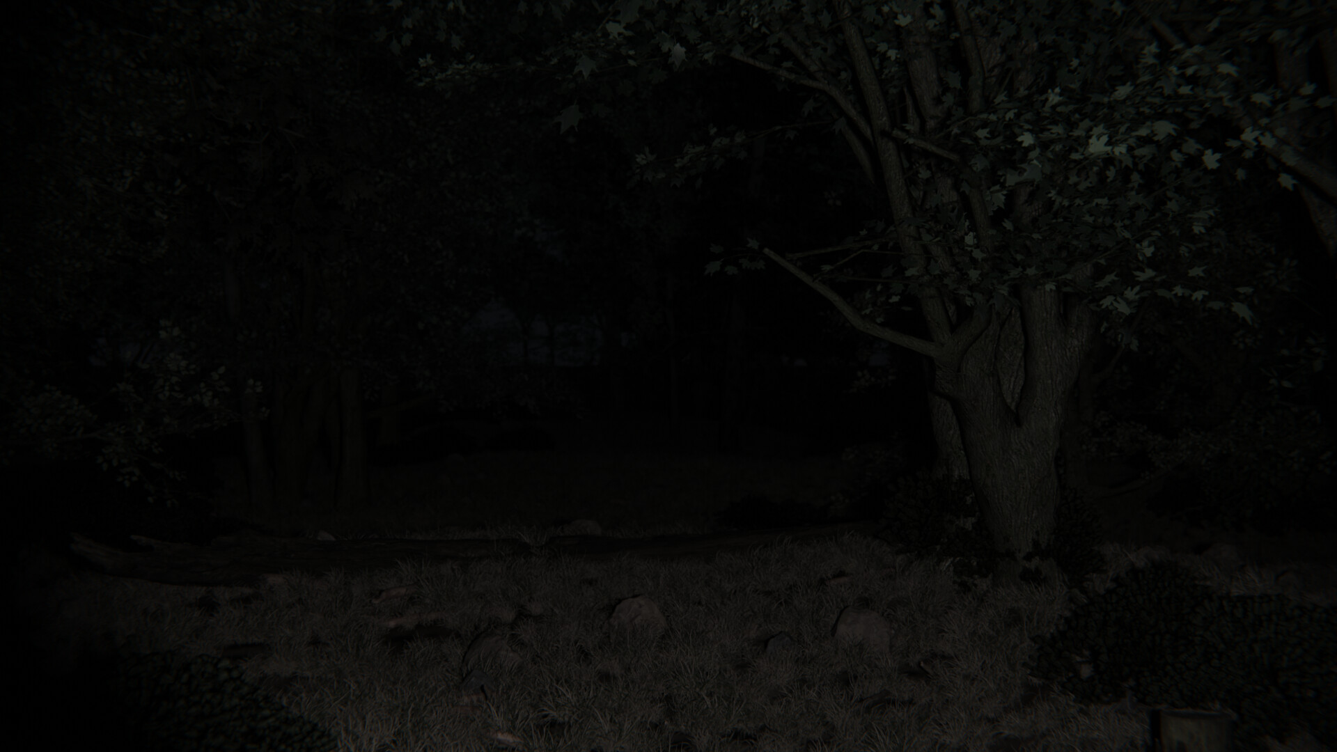 ArtStation - Forest At Night