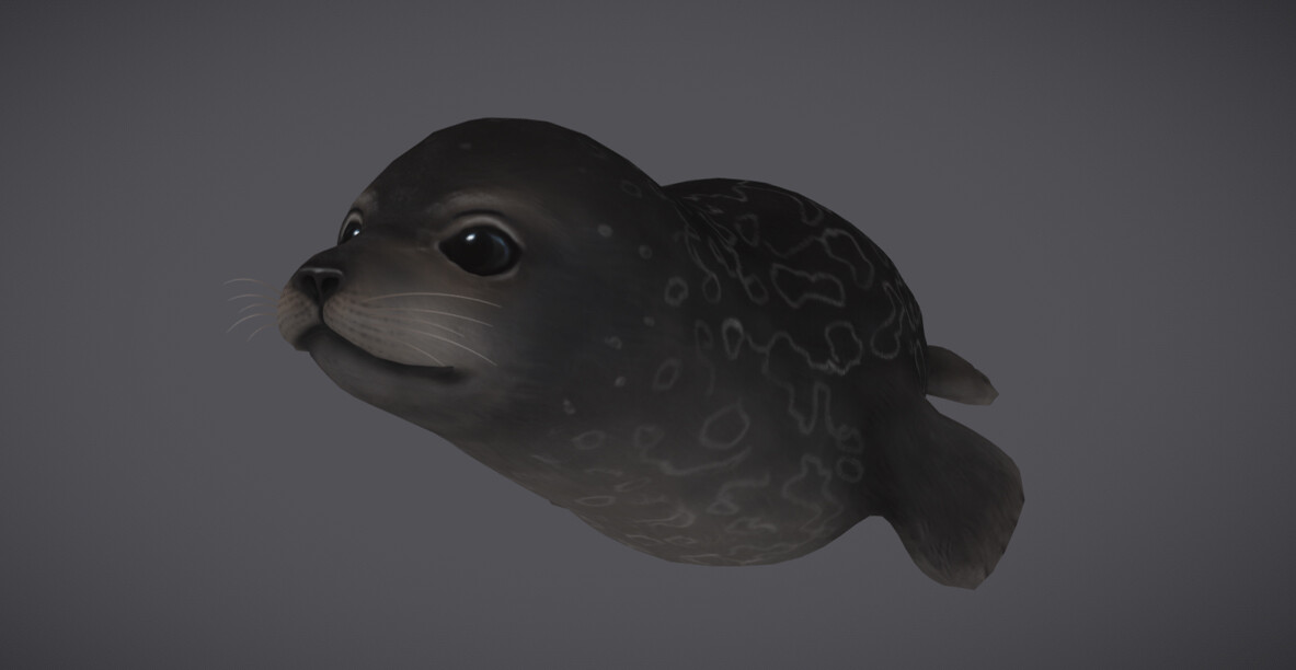 ArtStation - Saimaa Ringed Seal