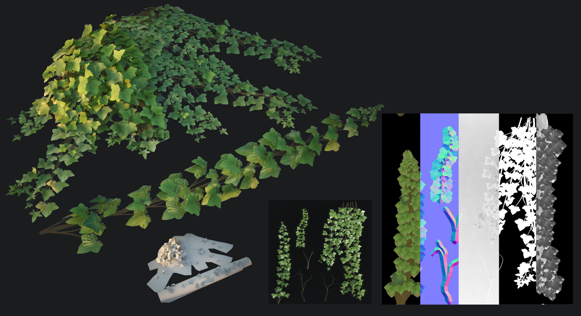 Chengwei (Will) Wen - Foliage Study