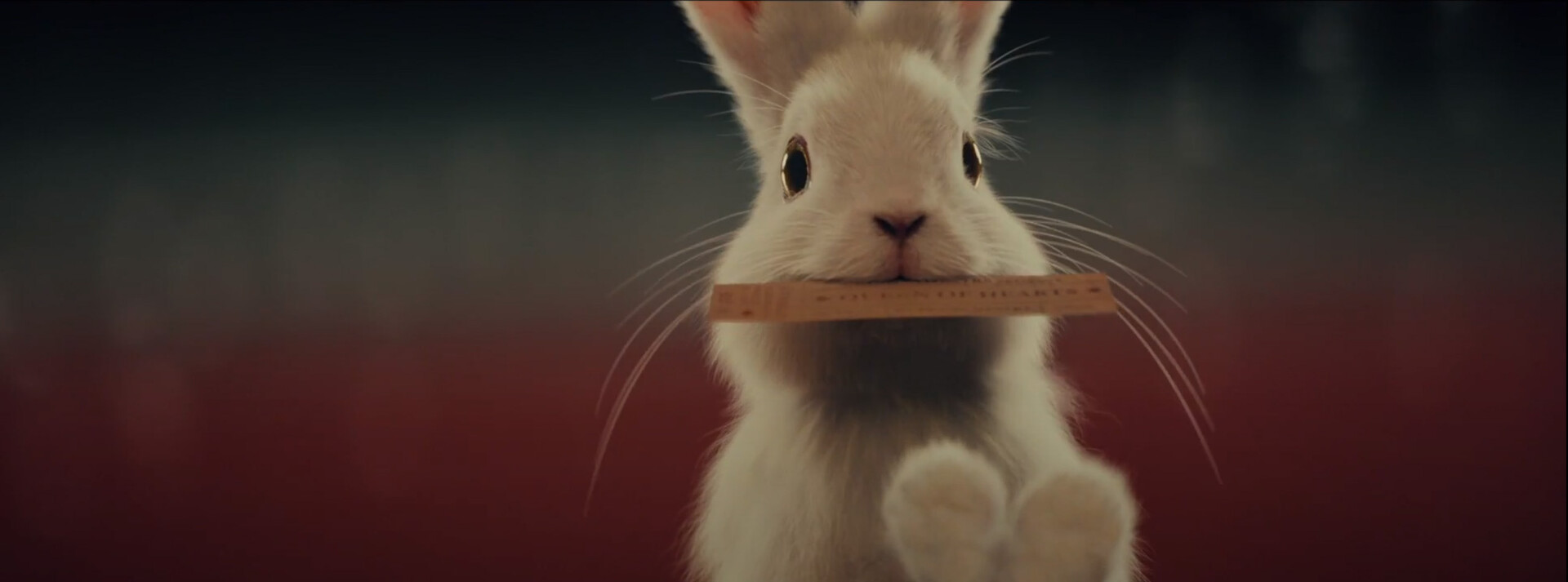 Artur Owsnicki - Rabbit - Citizen Watch Commercial