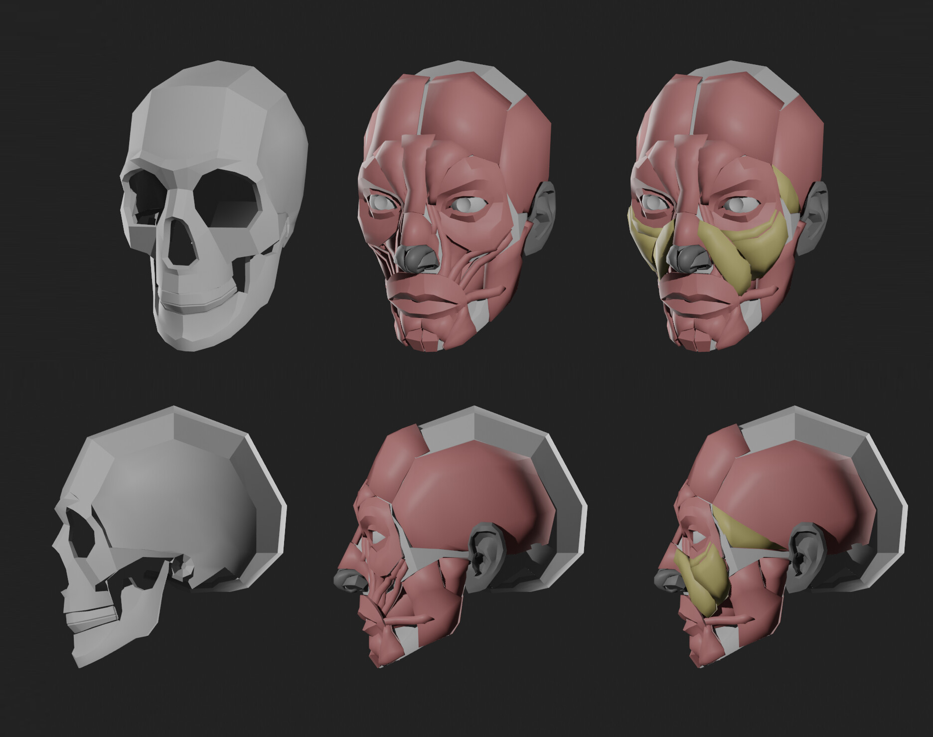 ArtStation - 头部基础结构