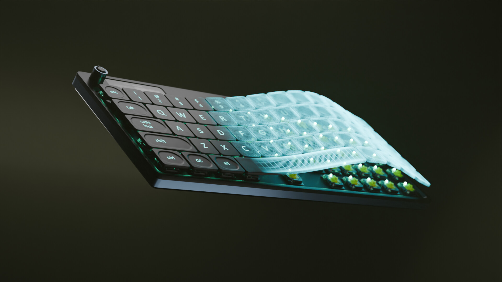 Steinert - Animated Keyboard Reveal