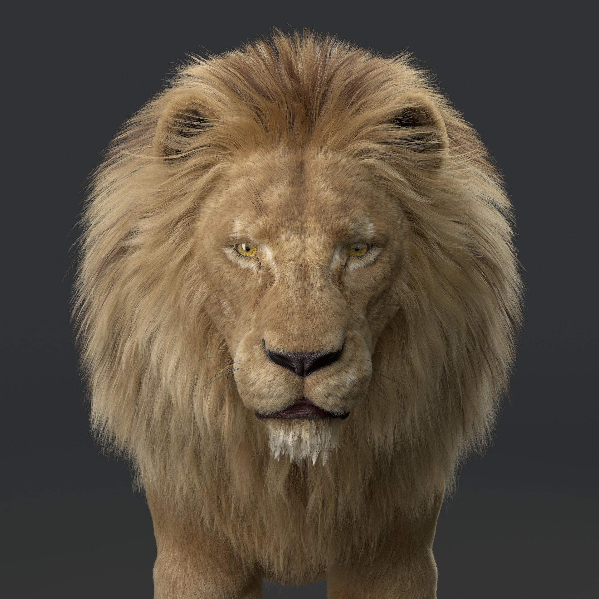 ArtStation - Lion Grooming