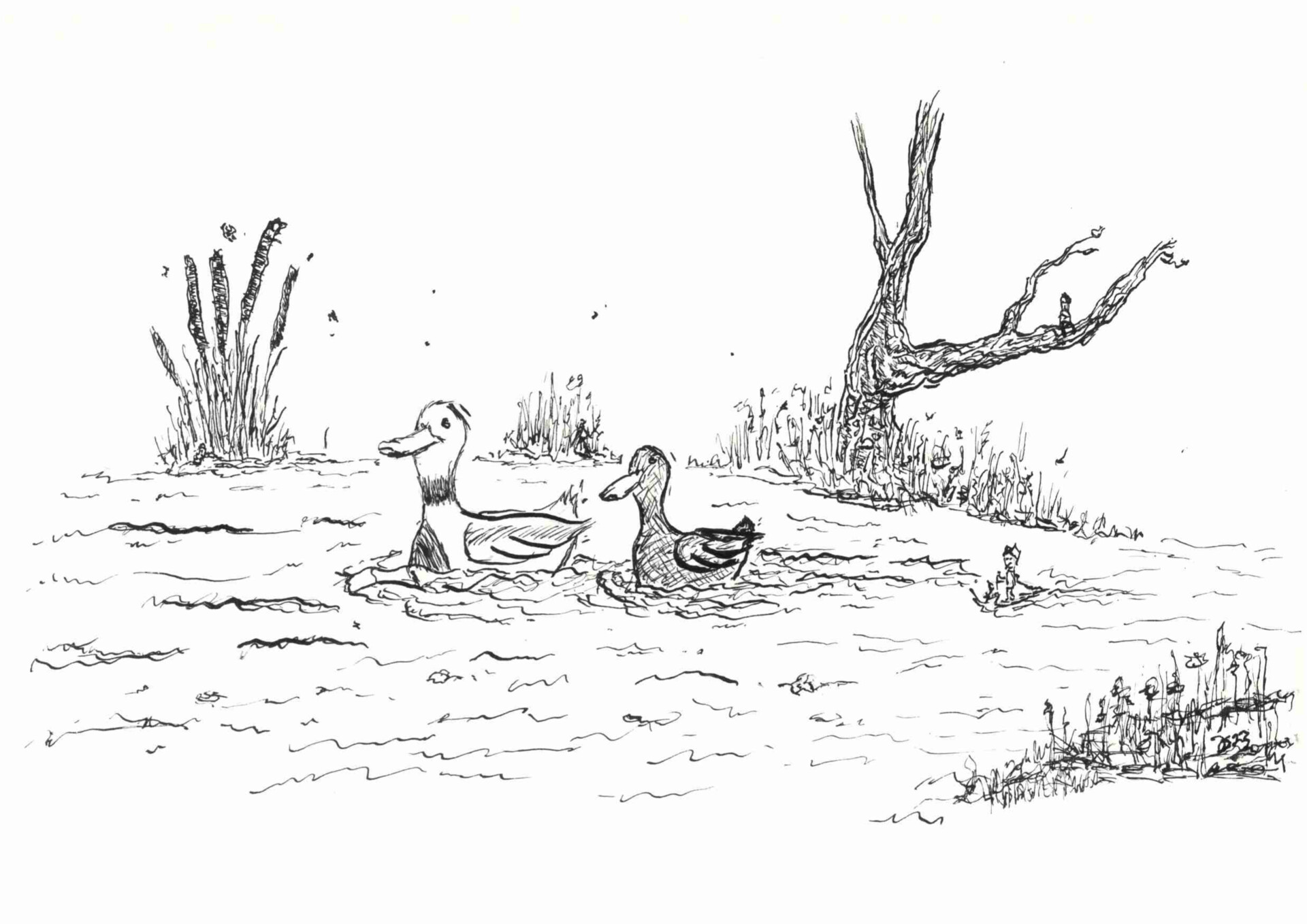 ArtStation - Duckventures on the Leith