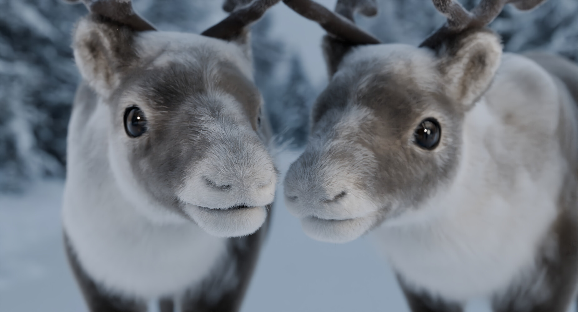 ArtStation - Reindeer