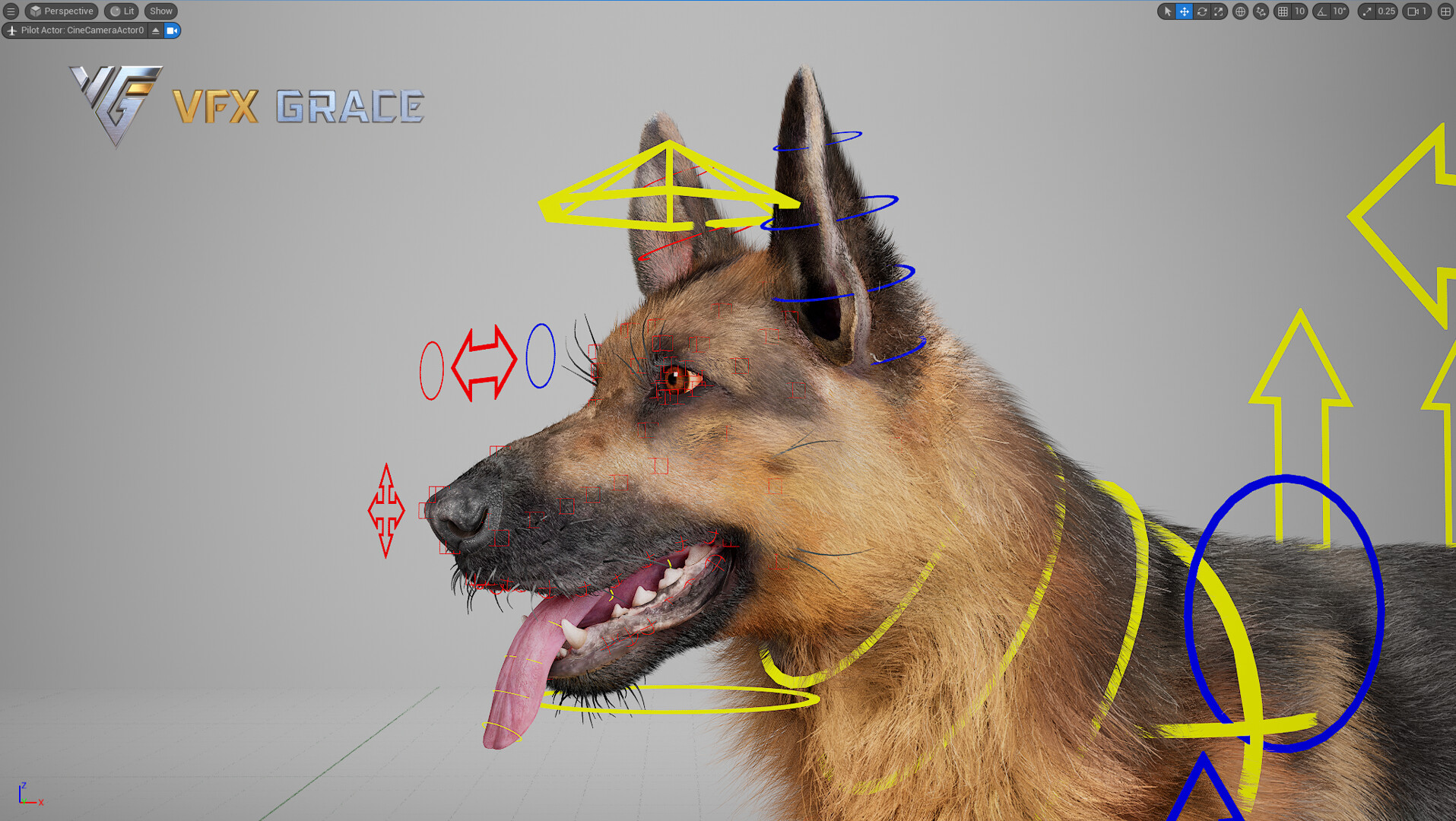 VFX models - German Shepherd - UE Character Asset