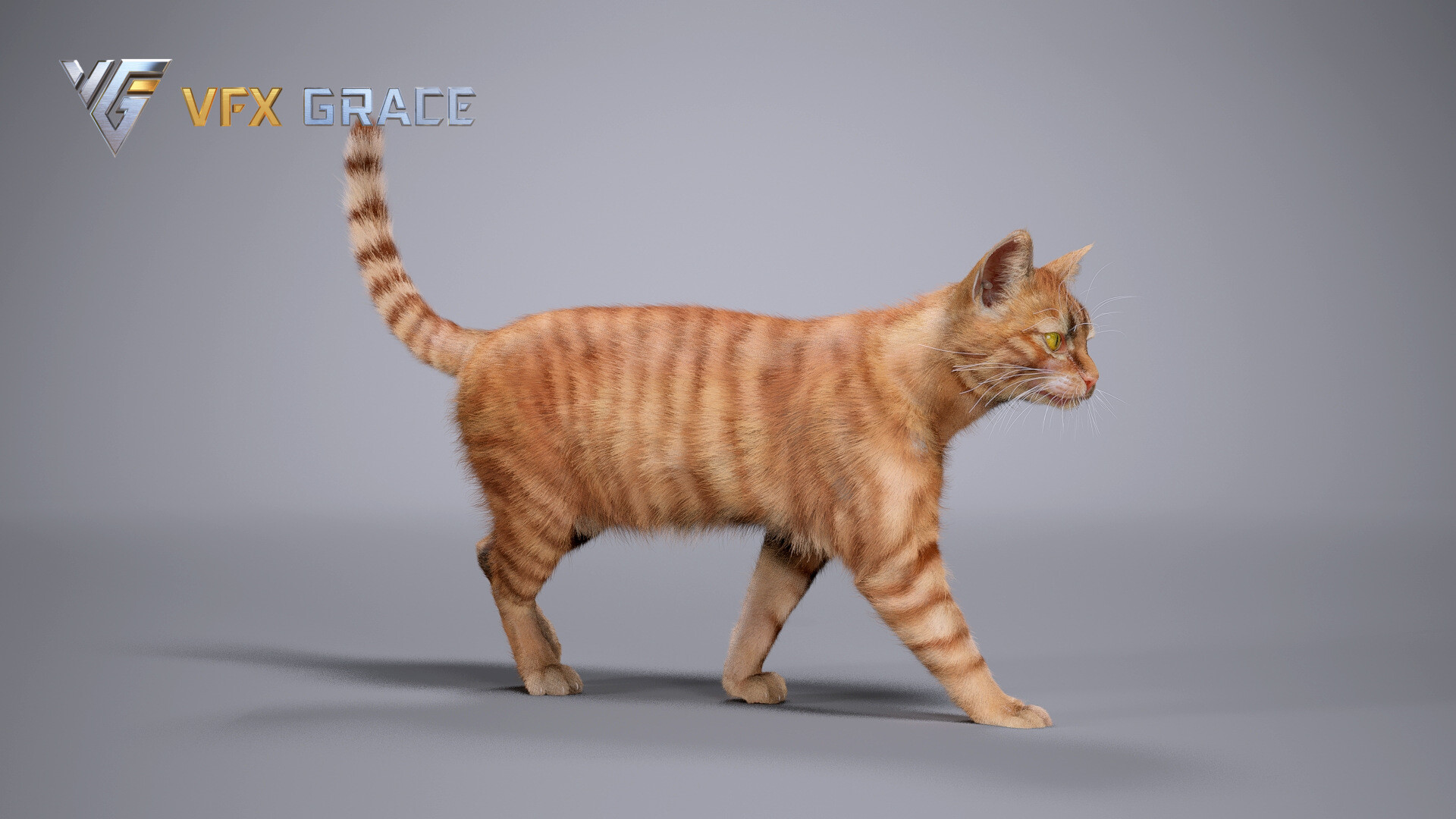 VFX models - Orange Cat - UE Character Asset