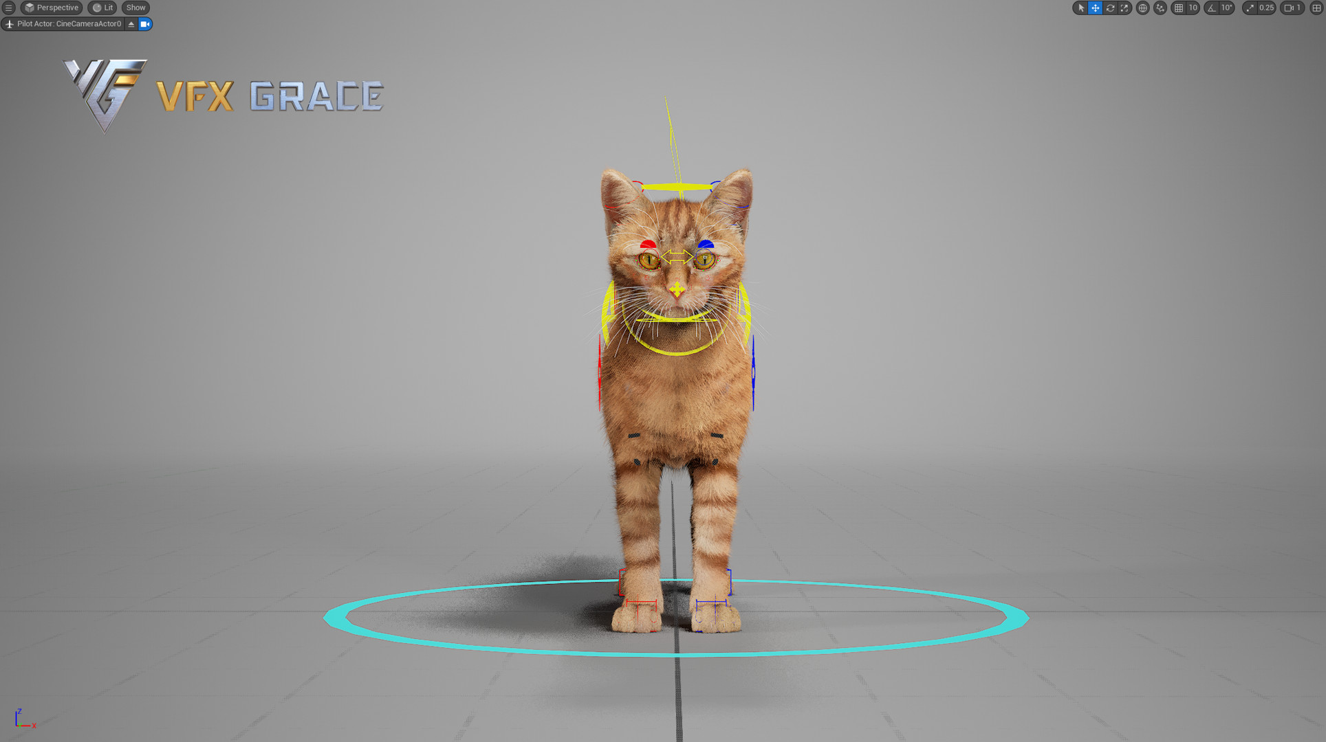 VFX models - Orange Cat - UE Character Asset