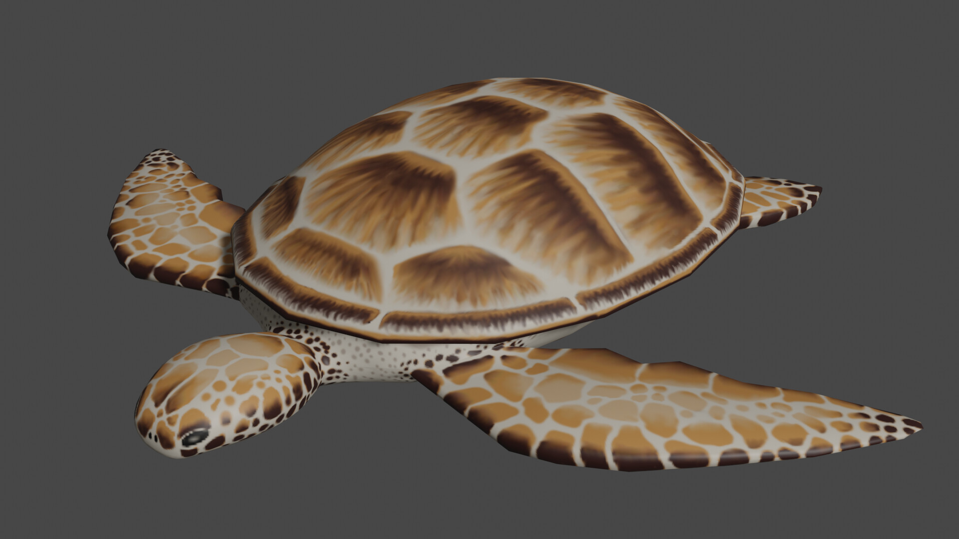 ArtStation - Turtle