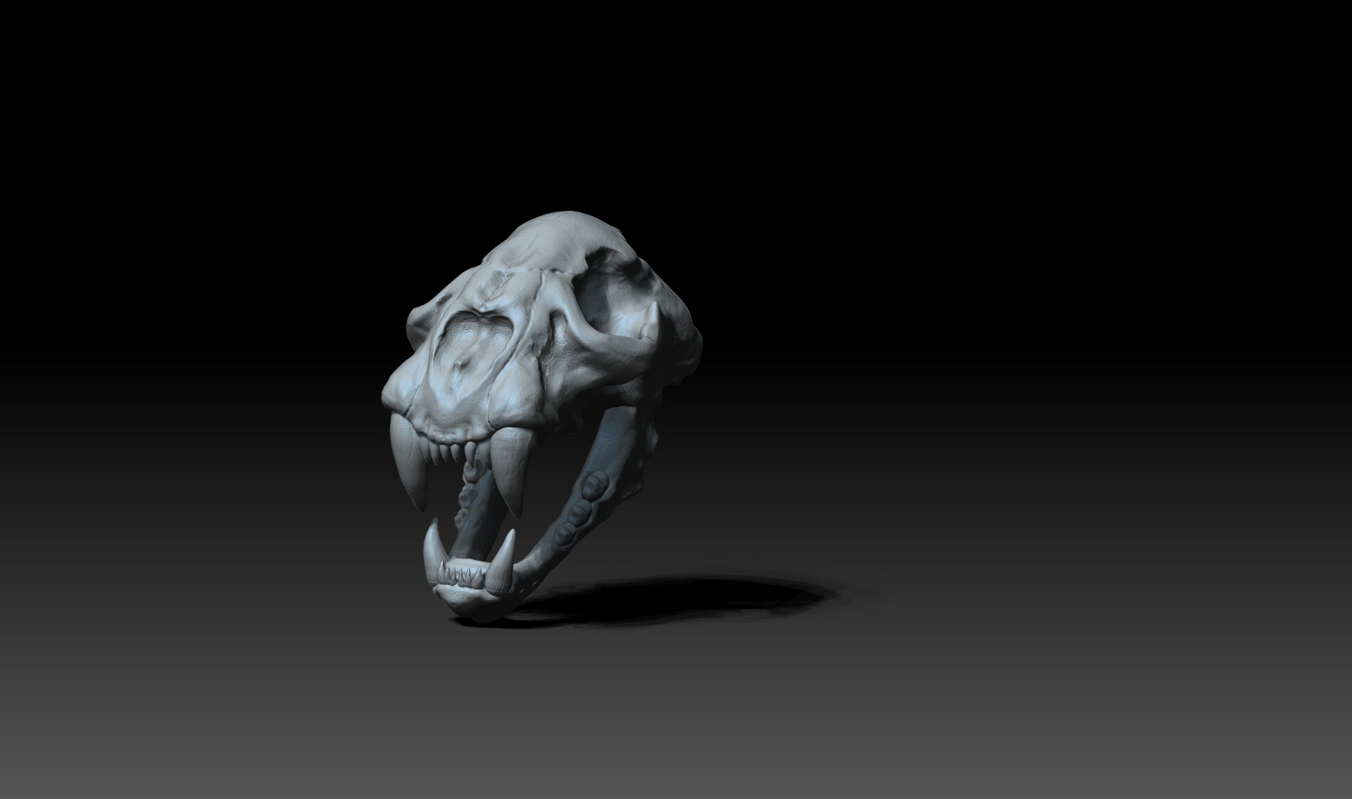 ArtStation - Zbrush practice.