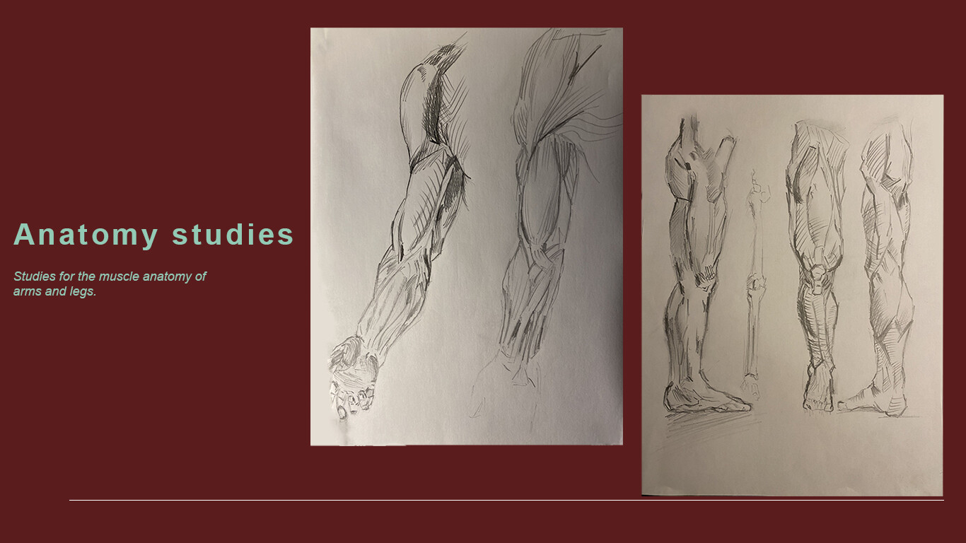 ArtStation - Anatomy studies