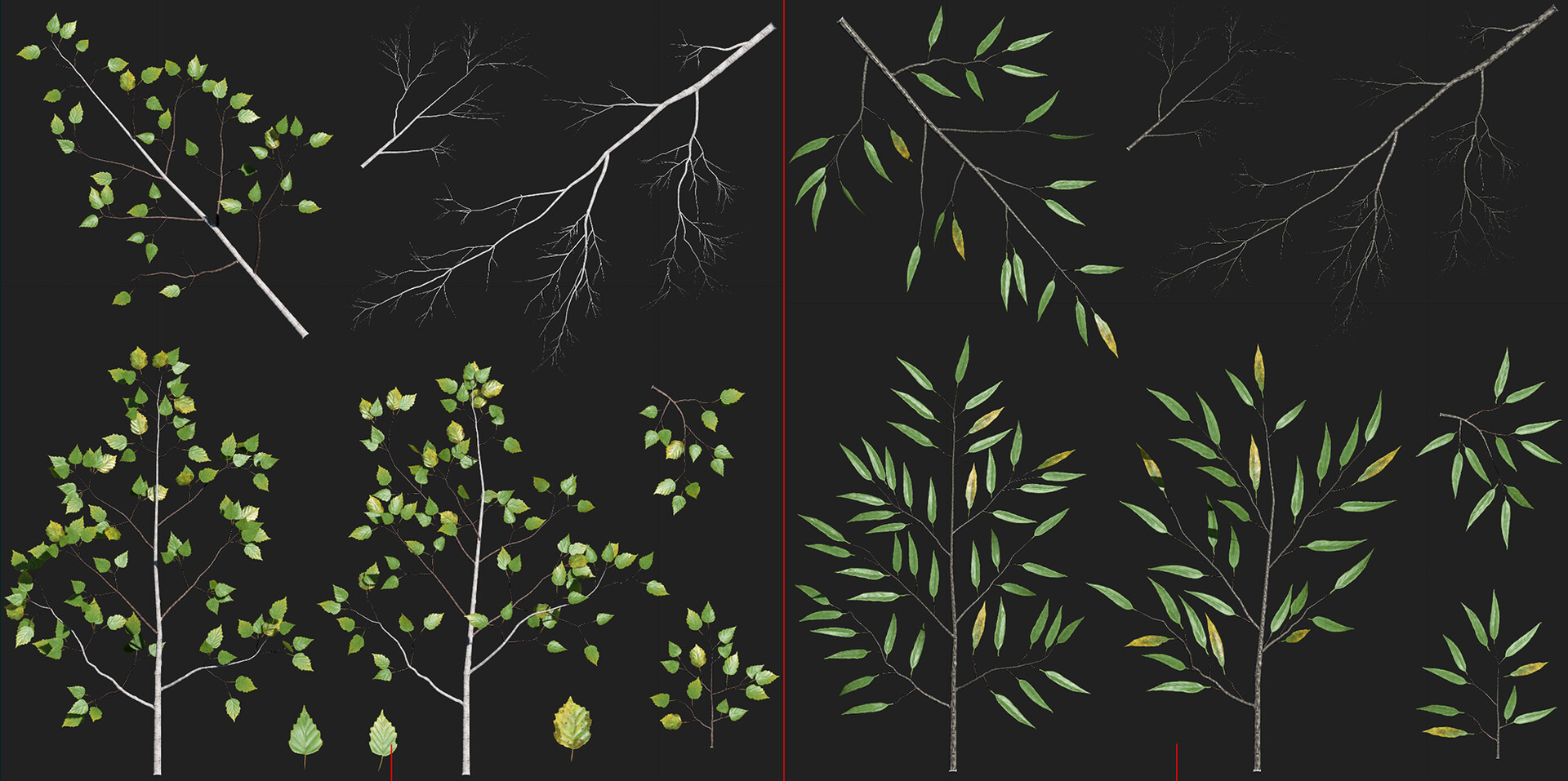 Alex J Wood - Highland Foliage