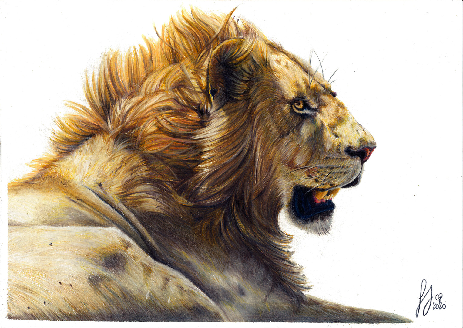 ArtStation - Lion - King of the pride