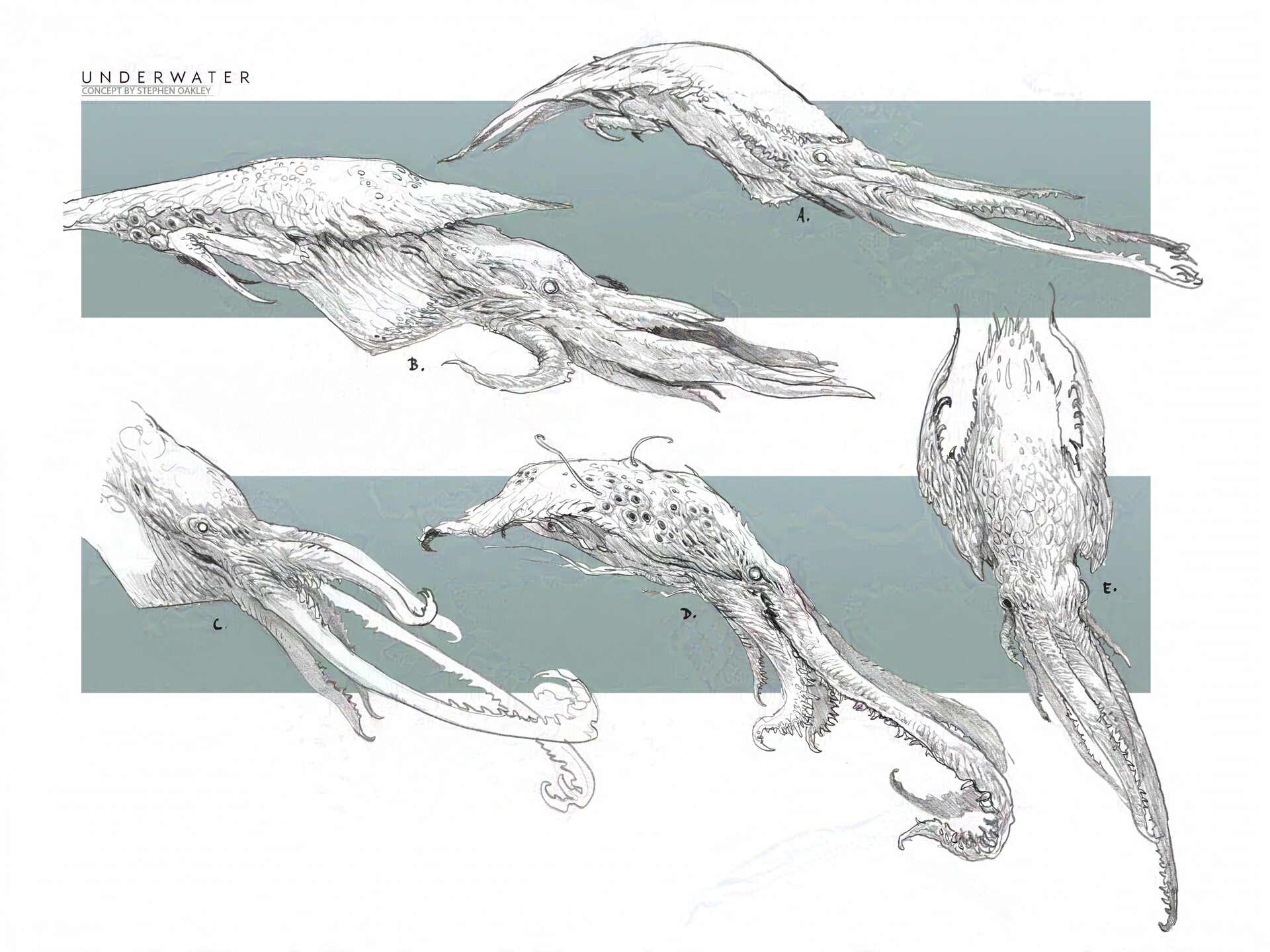 Stephen Oakley - Underwater Clinger