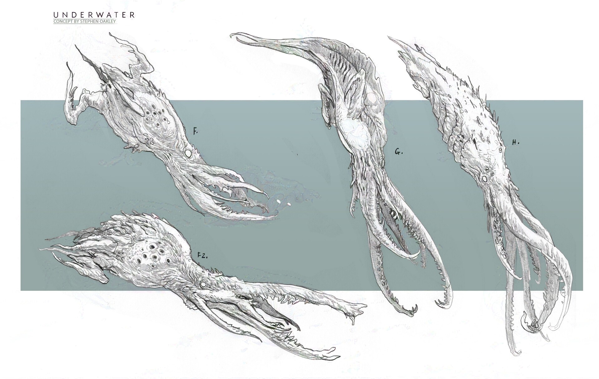 Stephen Oakley - Underwater Clinger