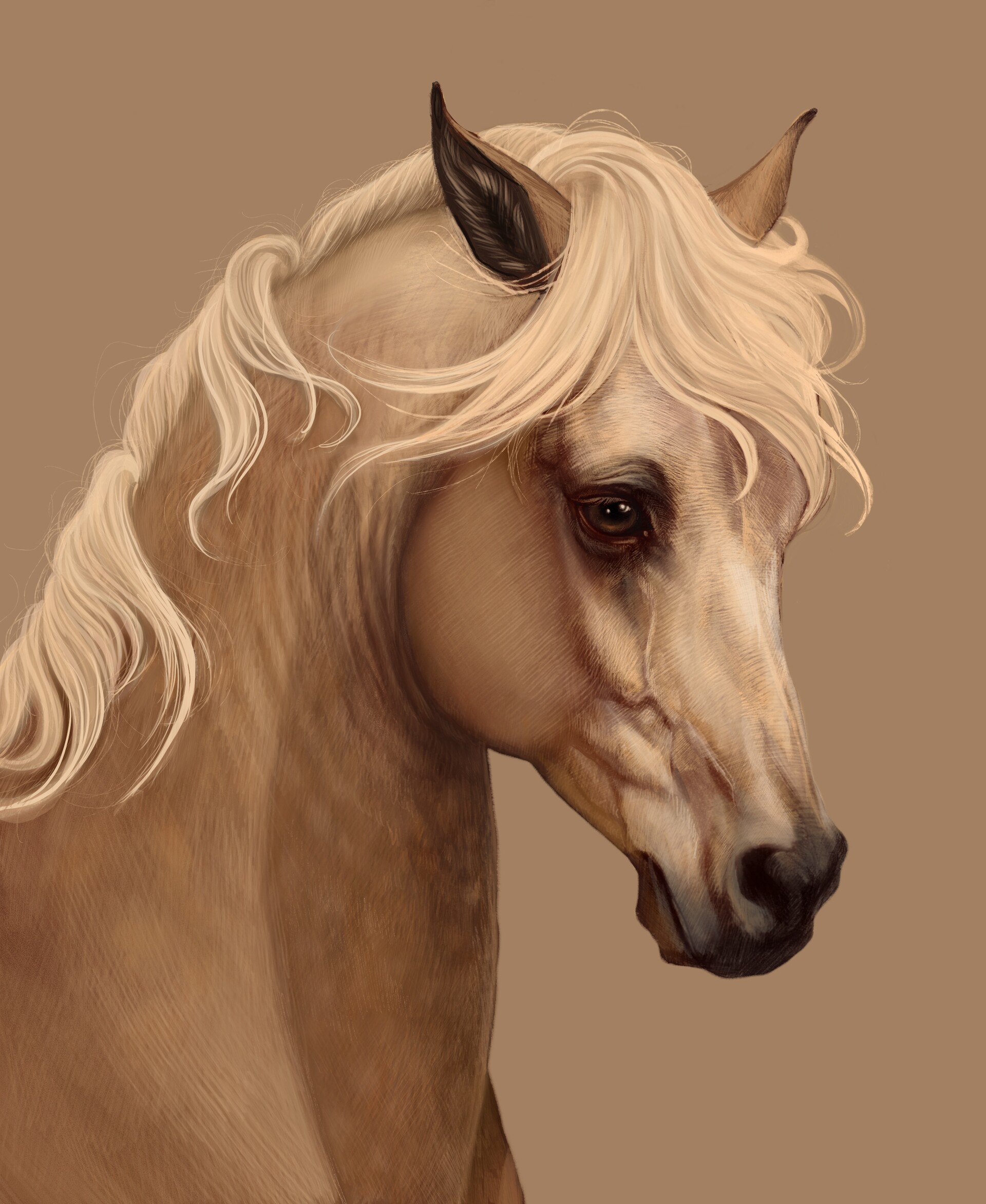 ArtStation - Palomino #1