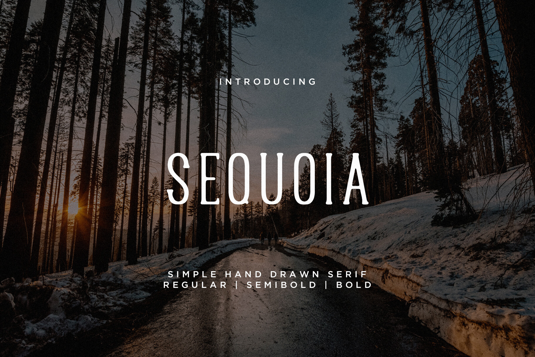 ArtStation - Sequoia Font + Extras