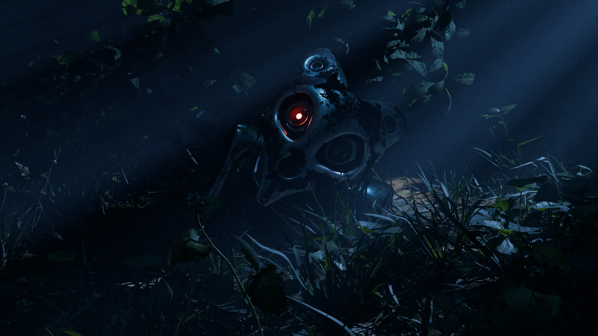 ArtStation - CyberCat