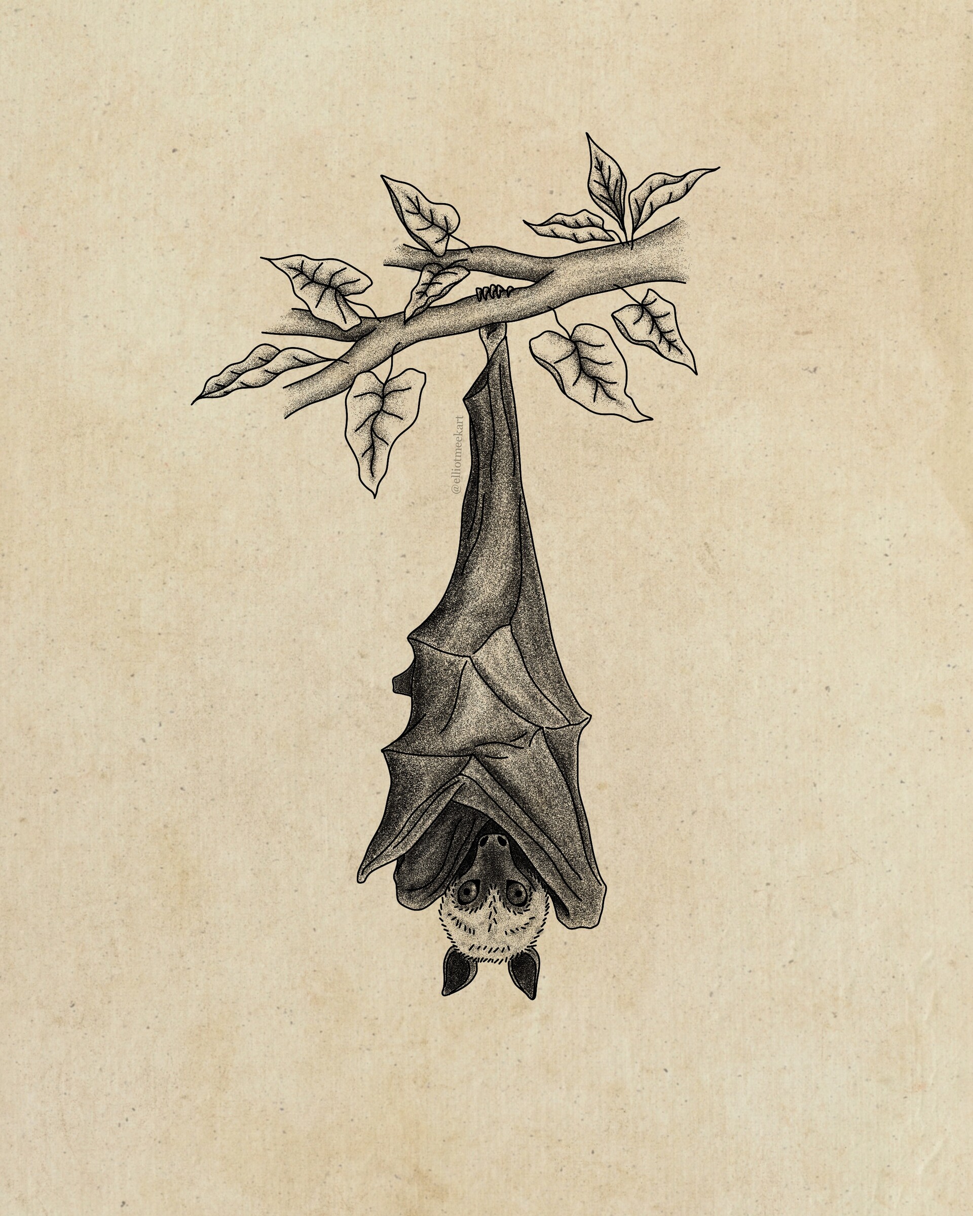 ArtStation - Hanging Fruit Bat