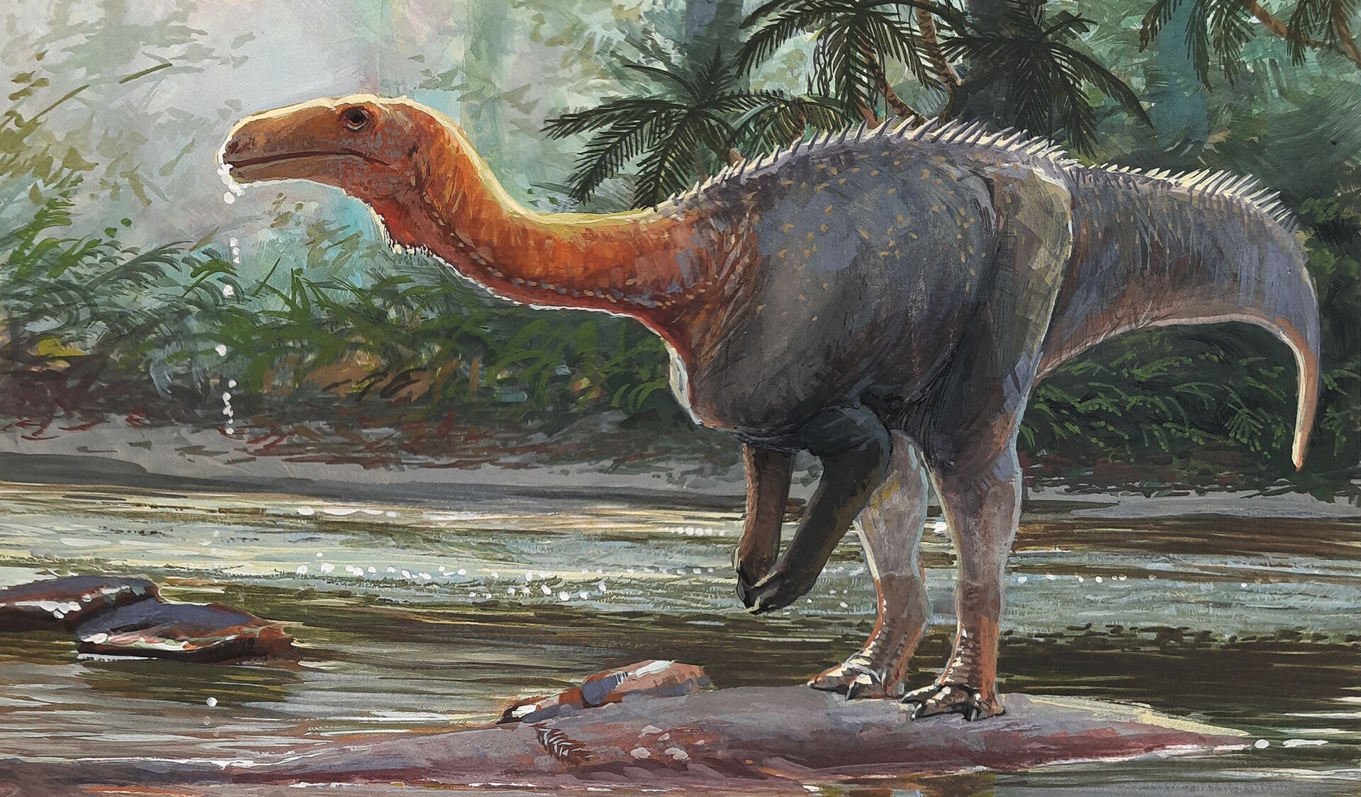 Júlia d'Oliveira - Unaysaurus