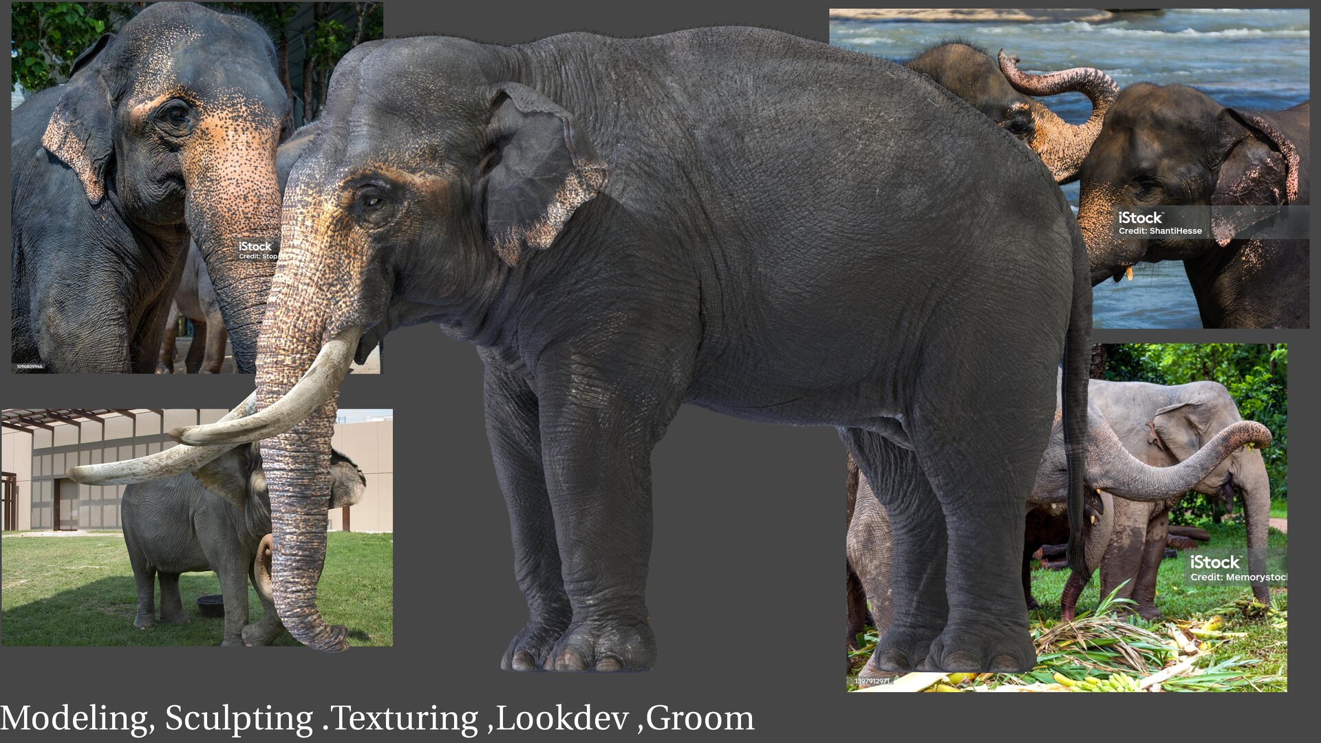 ArtStation - Indian Elephant,