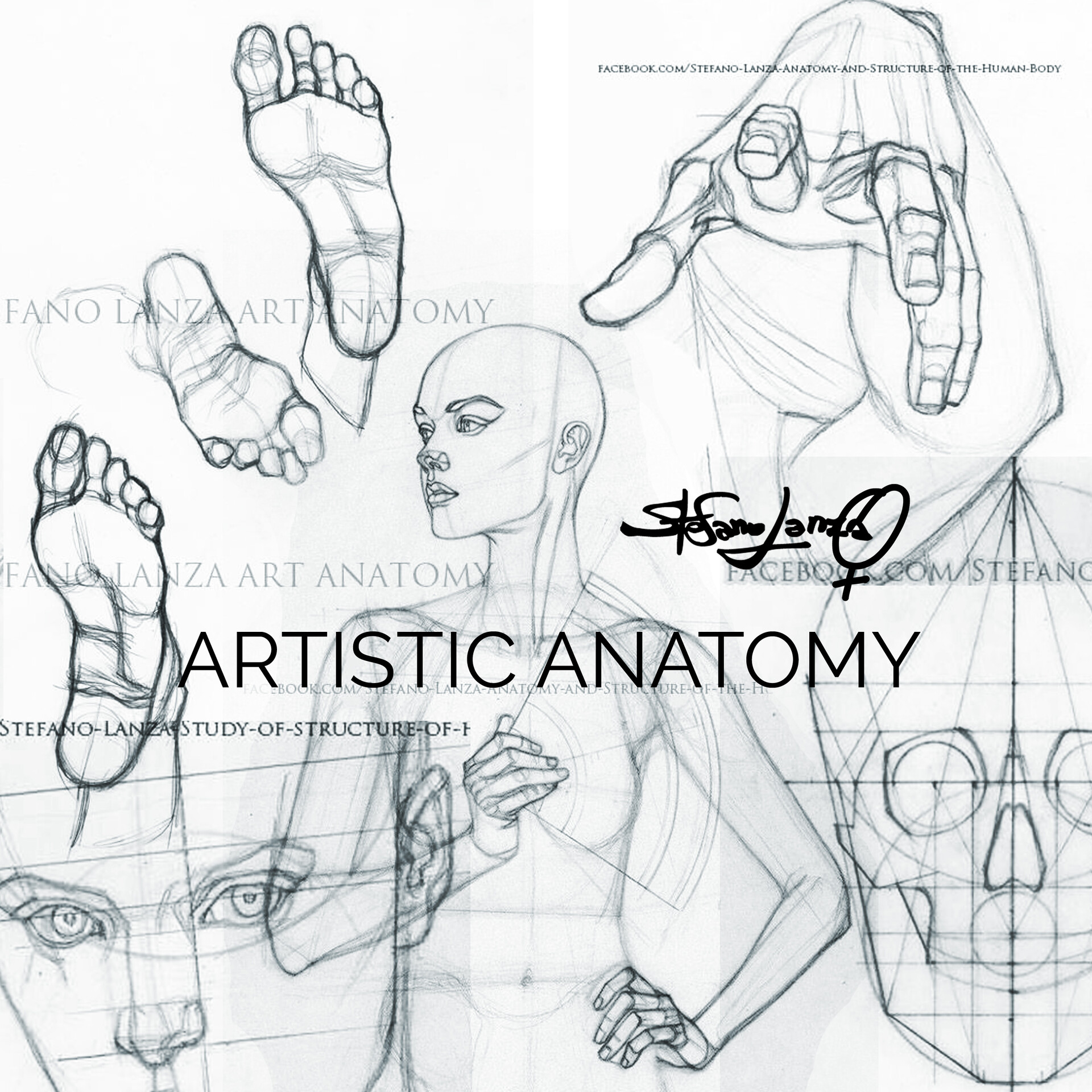 Artstation Artistic Anatomy
