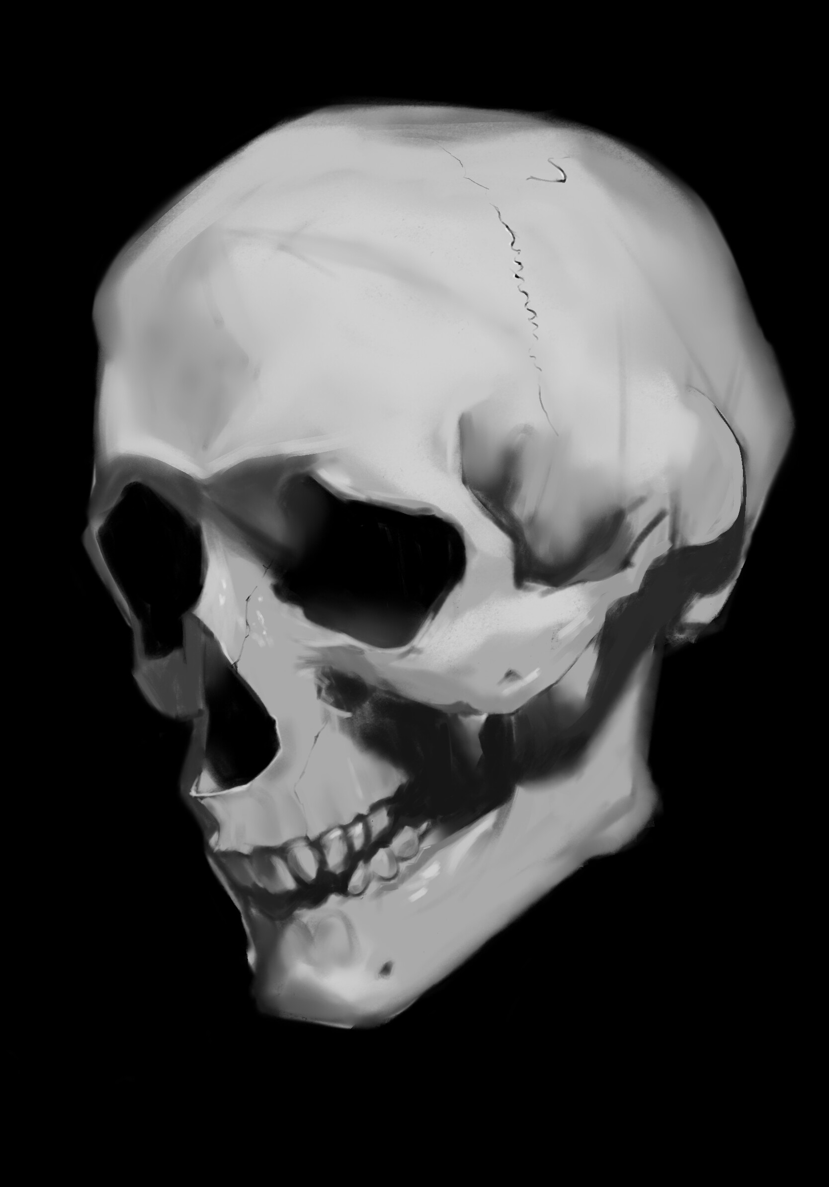 ArtStation - Skull Study
