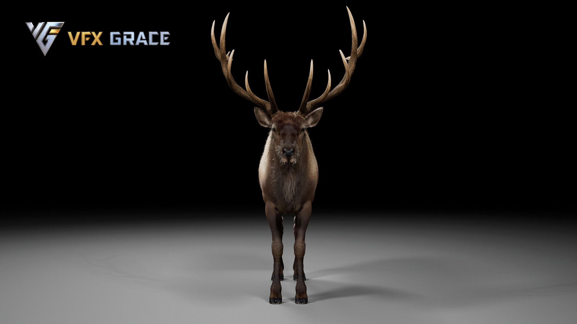 VFX models - MaleElk - UE Character Asset