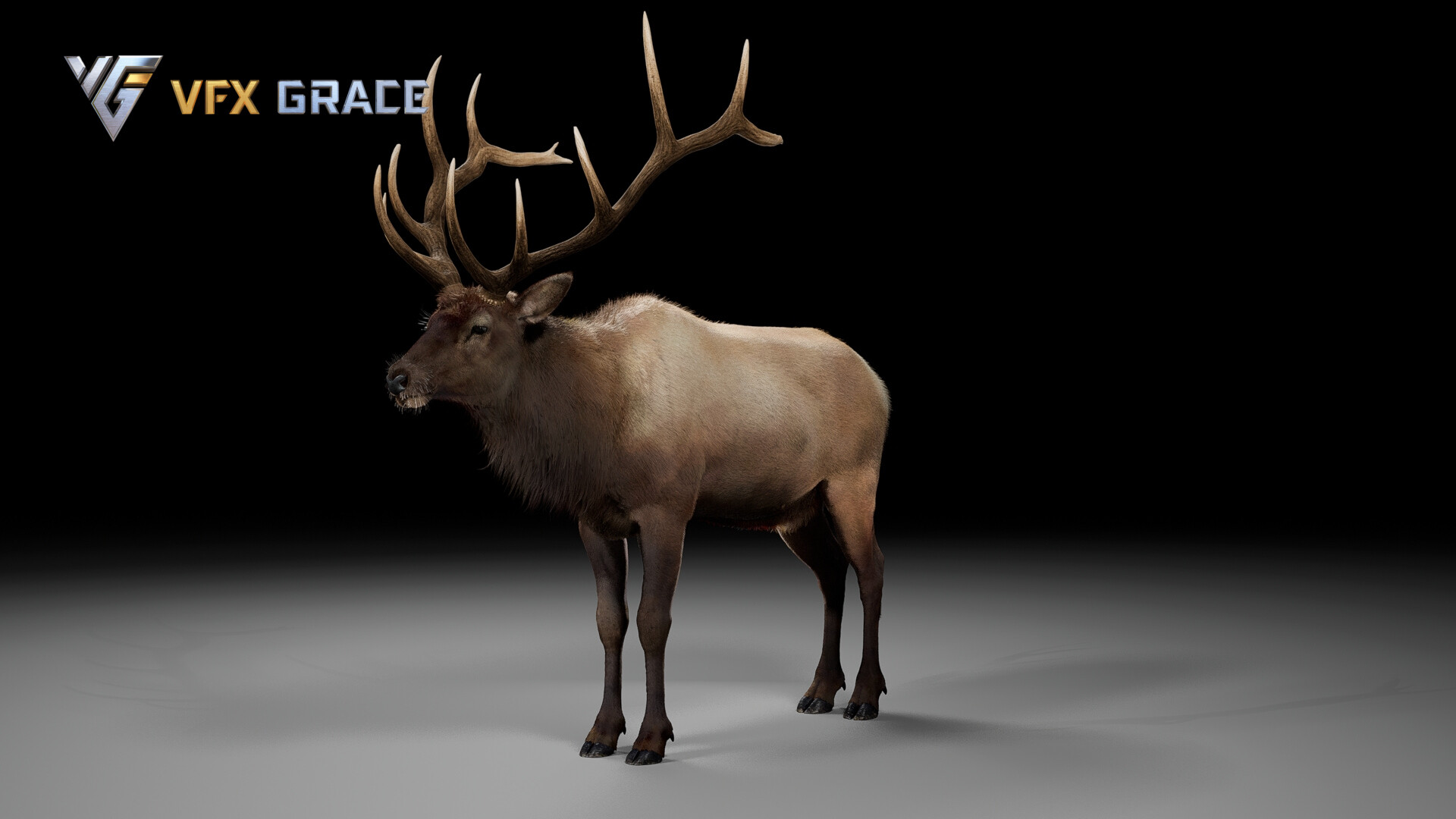 VFX models - MaleElk - UE Character Asset