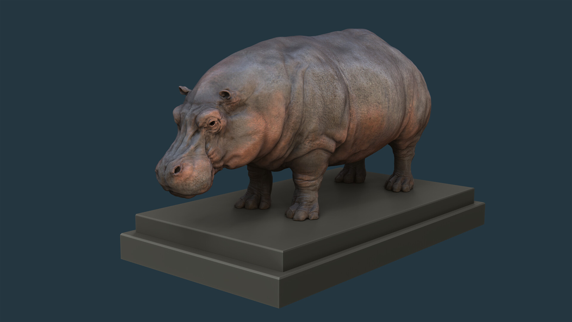 ArtStation - Hippo