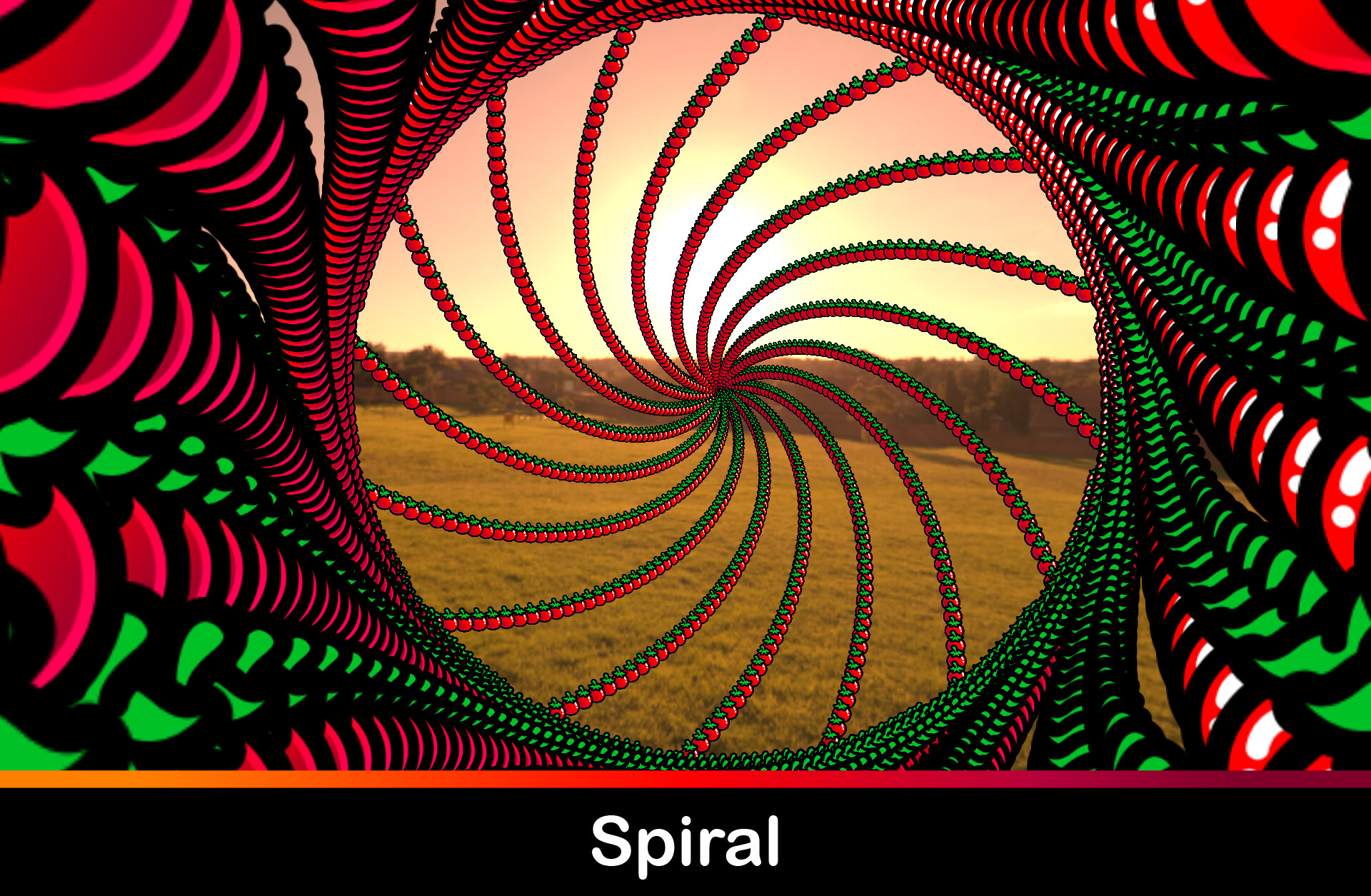 Diamonick Dunn - Duplicate Special Tool