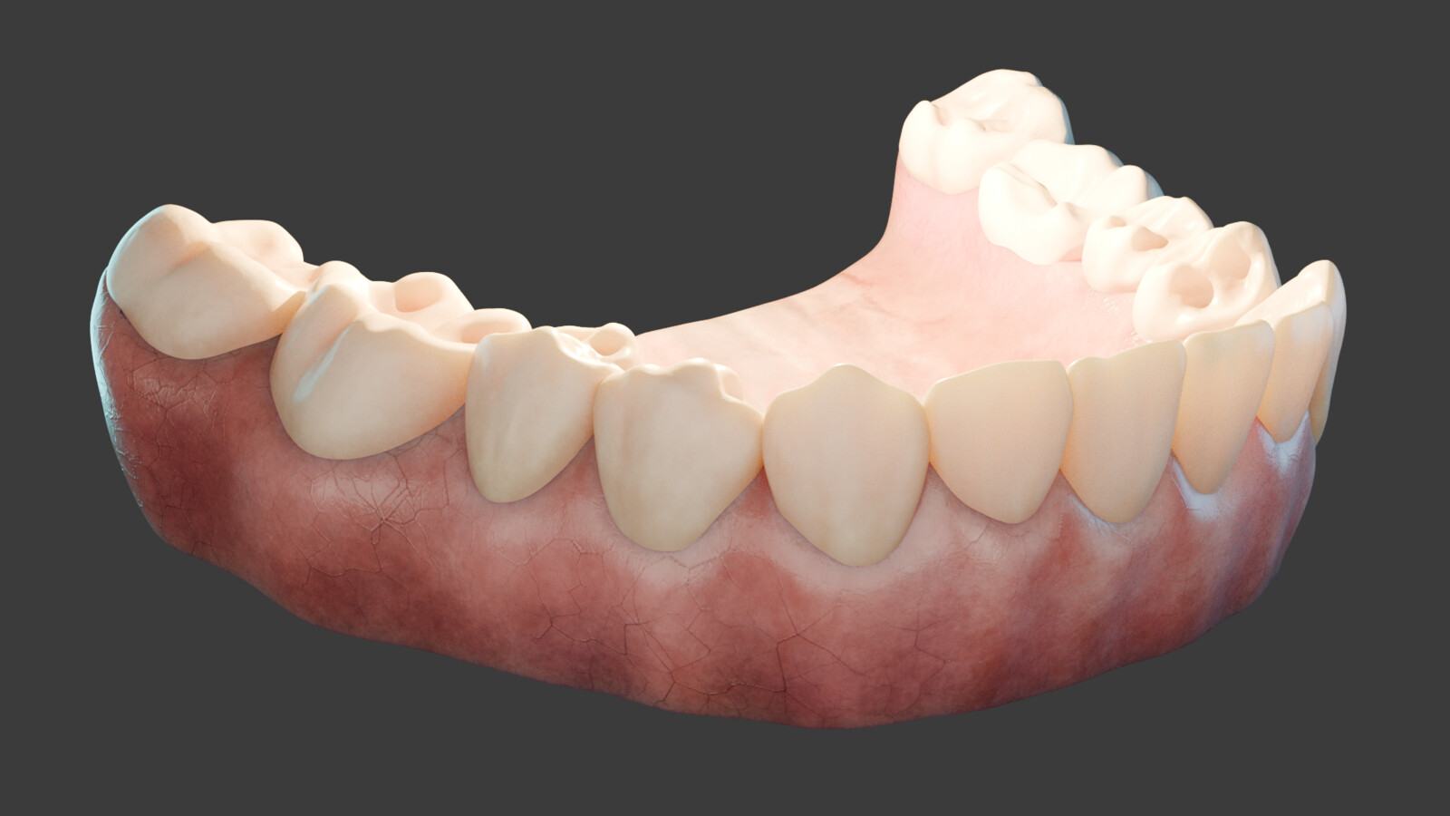 joel maxwell - 3D Human Organs