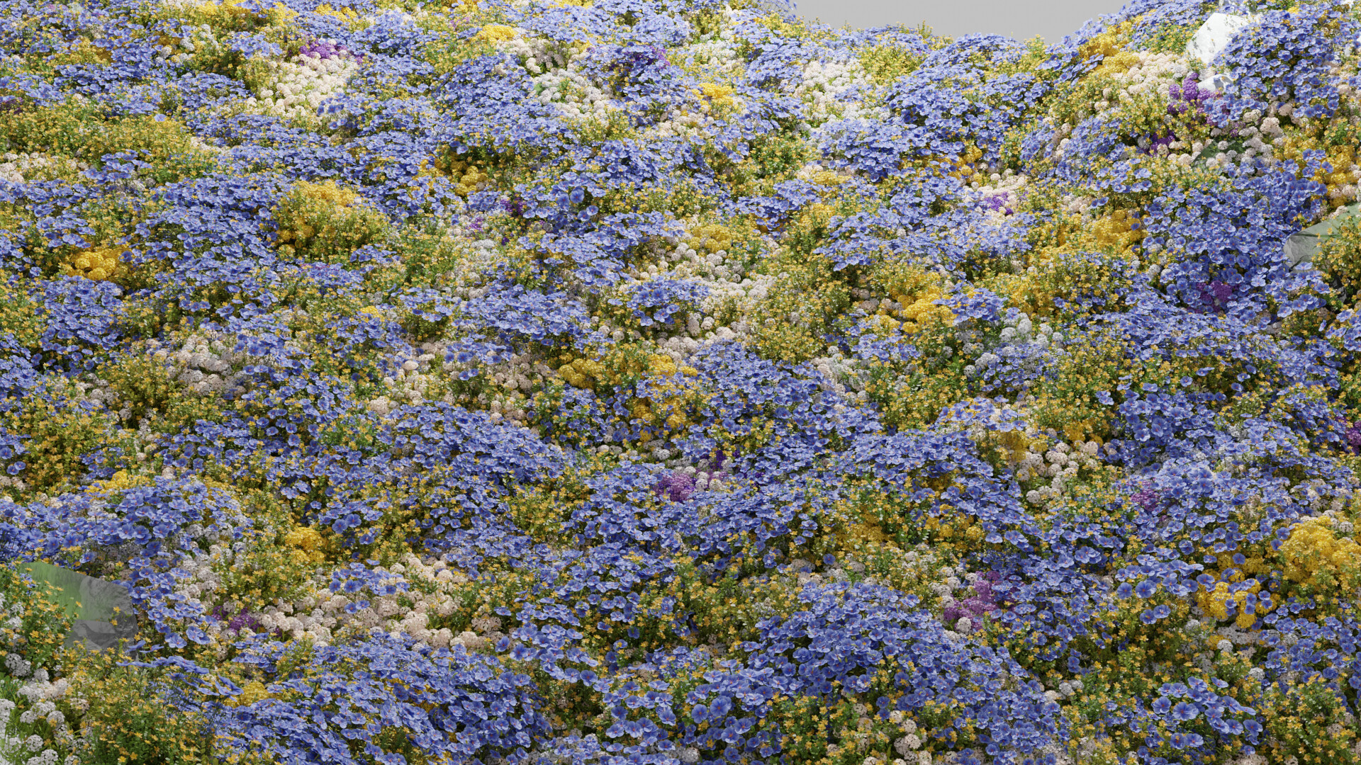 ArtStation - Violet Garden on a Sunny day