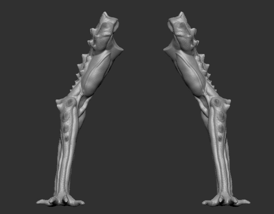 ArtStation - Retopologized Creature Arm's