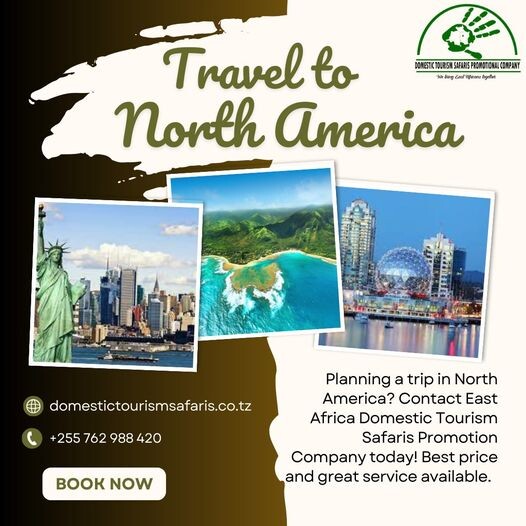 ArtStation - 𝐓𝐫𝐚𝐯𝐞𝐥 𝐭𝐨 𝐍𝐨𝐫𝐭𝐡 𝐀𝐦𝐞𝐫𝐢𝐜𝐚