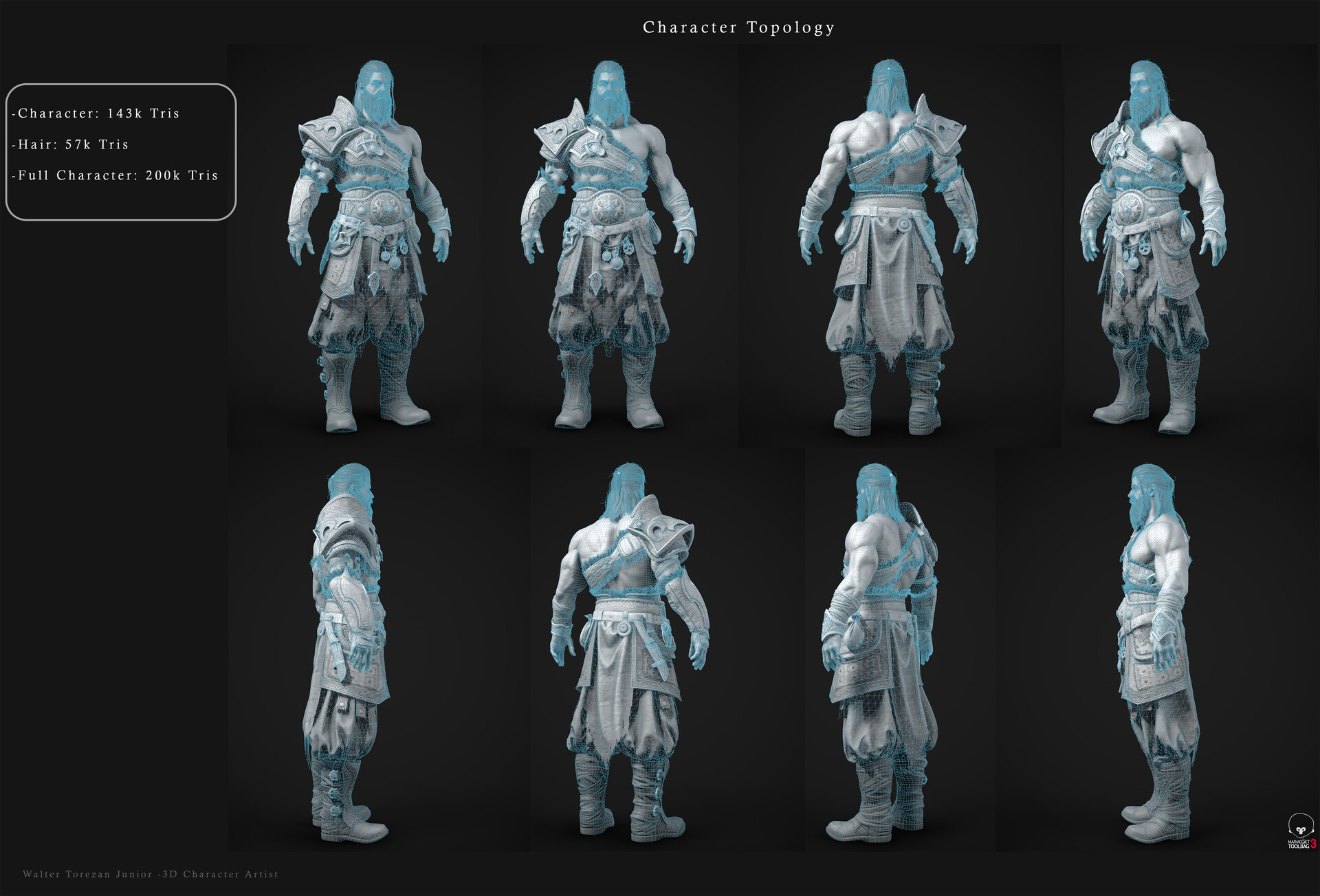 Walter Torezan Junior - Vidar - The Silent God