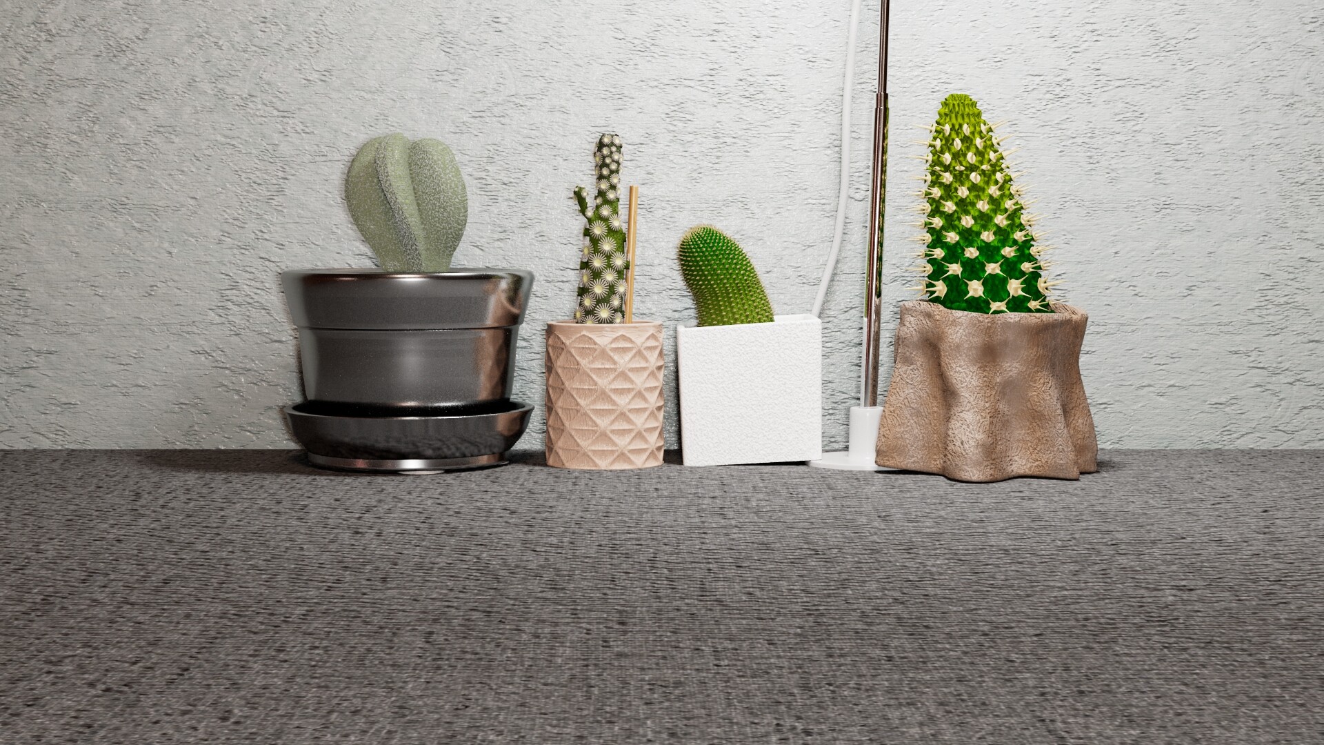 Joseph Castro - Simple Cactus Final