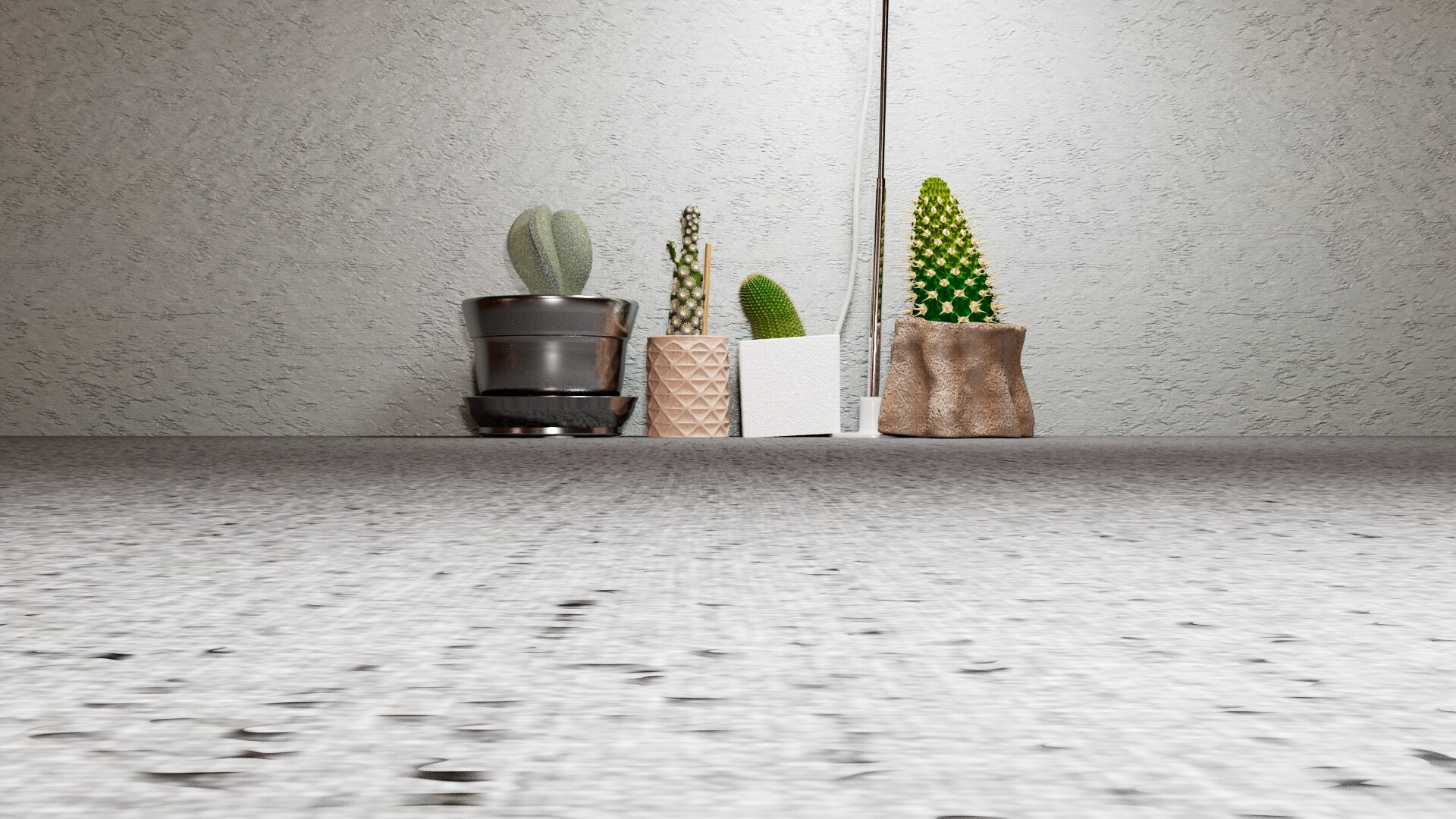 Joseph Castro - Simple Cactus Final