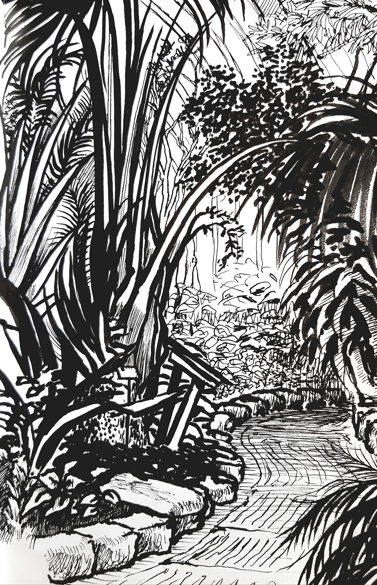 ArtStation - Ink Art - Floral Studies