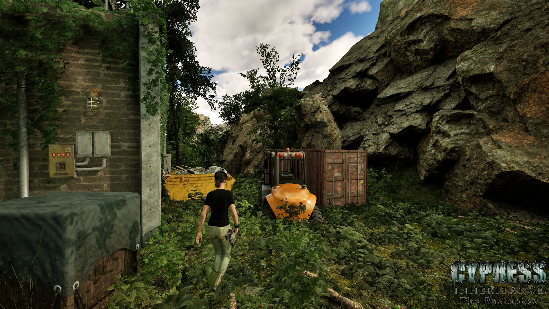 Bradley Colson - Cypress Inheritance: The Beginning