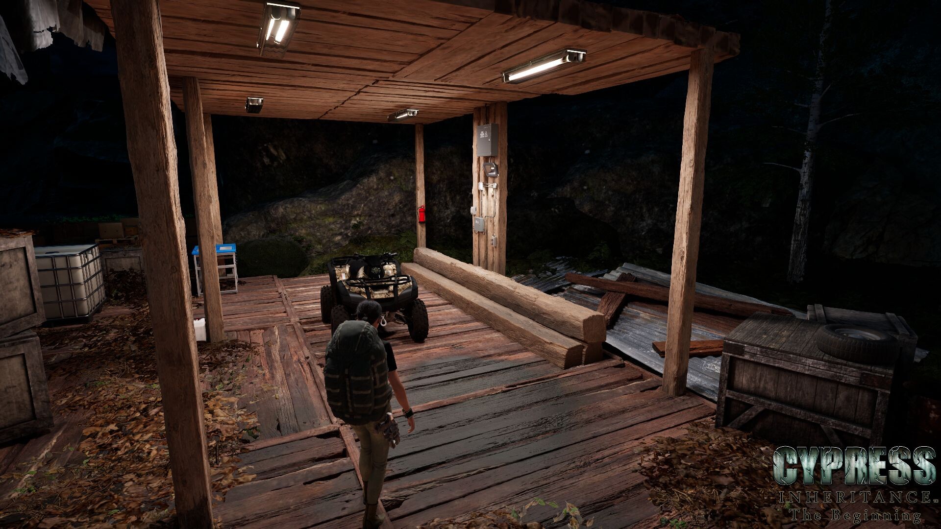 Bradley Colson - Cypress Inheritance: The Beginning