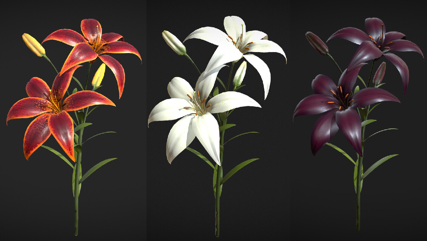 ArtStation - Lily_3D models