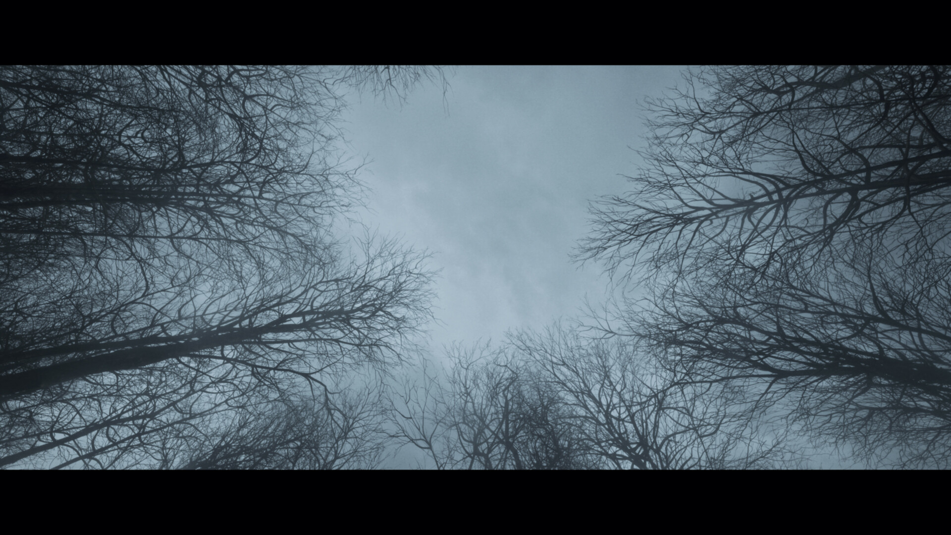 Pasquale Scionti - Gameplay The Dark Forest Unreal Engine 5.2 Lumen Quixel