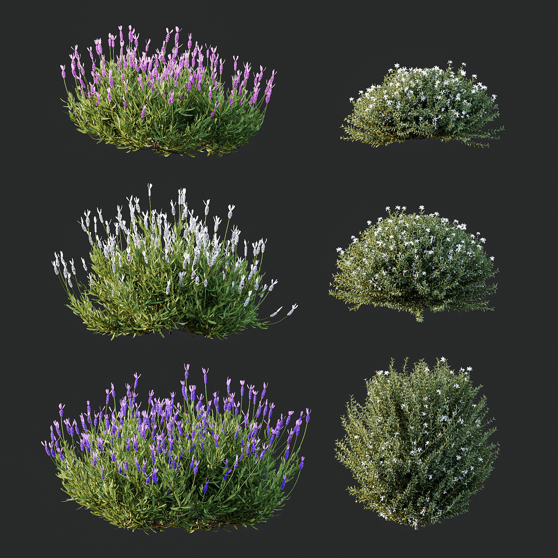 ArtStation - spring Flowering bush