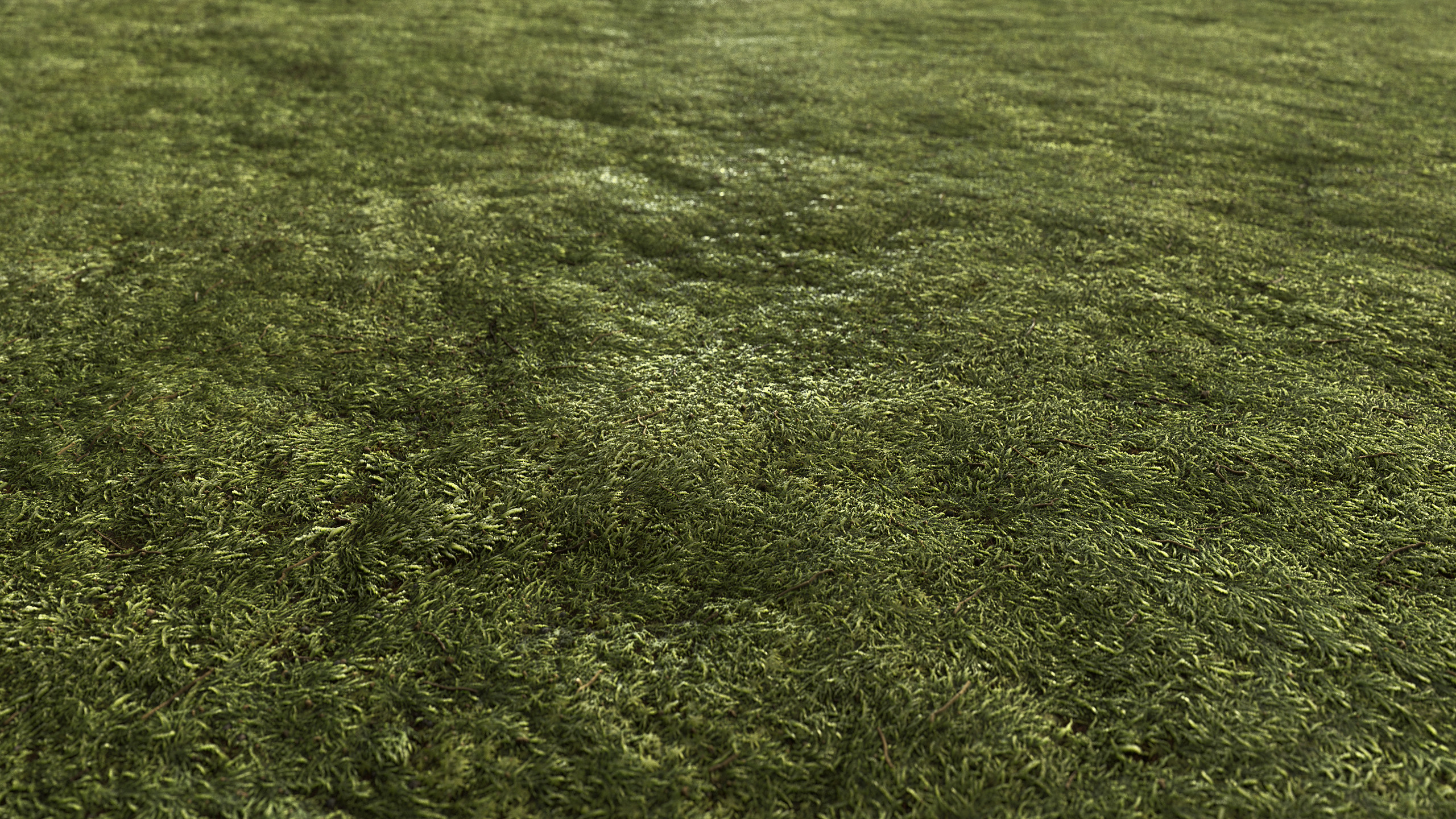 Anna Koroleva - Moss - Substance Designer