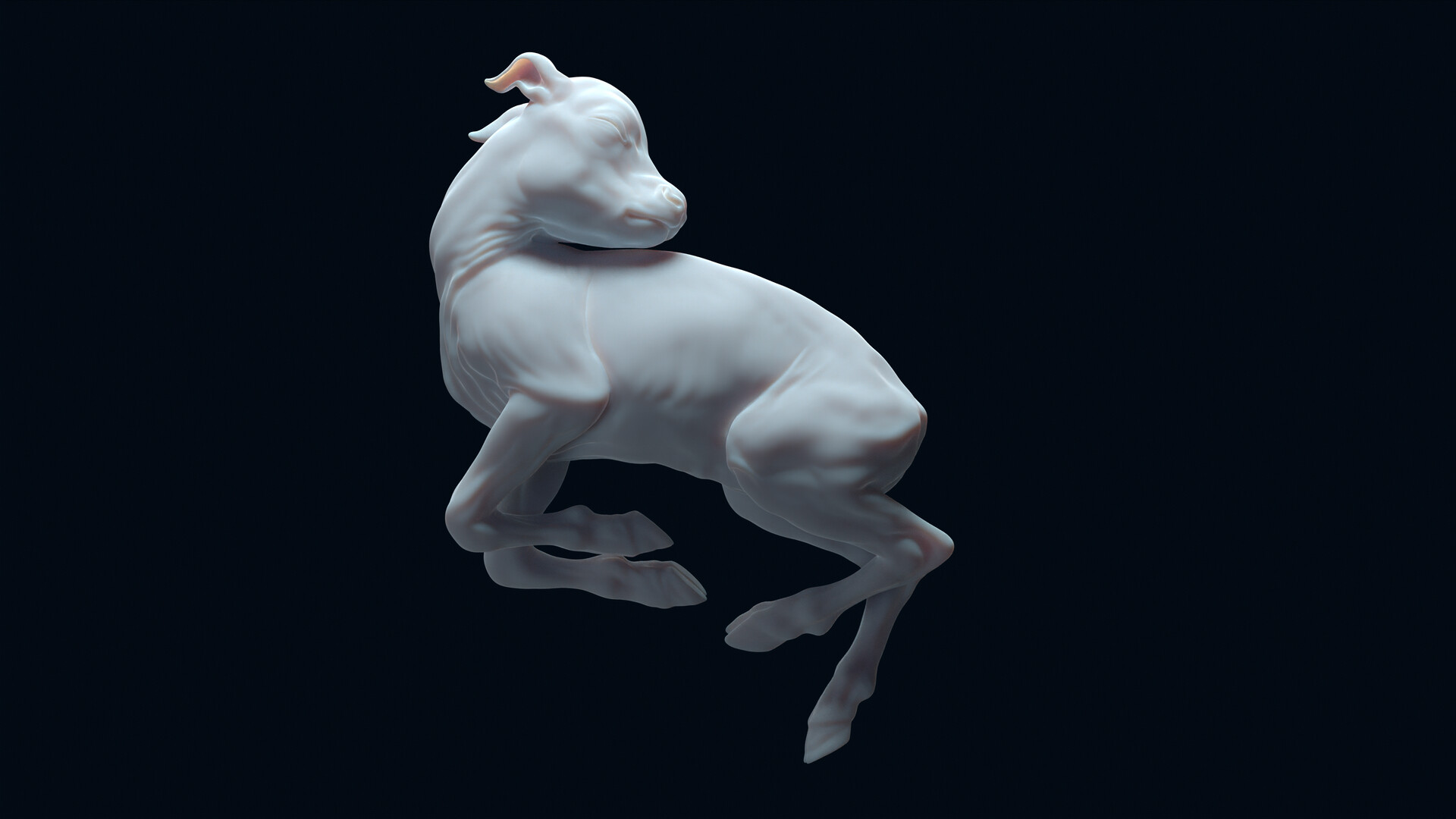 ArtStation - Calf Foetus Study