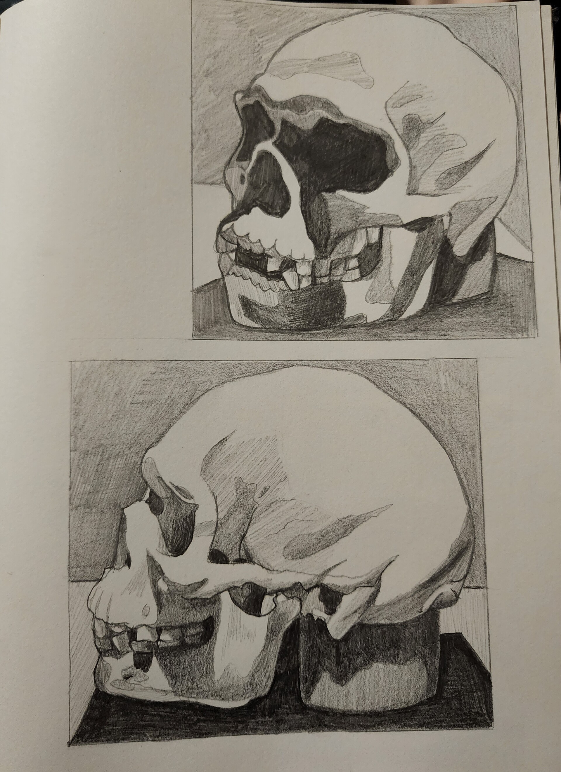 ArtStation - Skull Studies